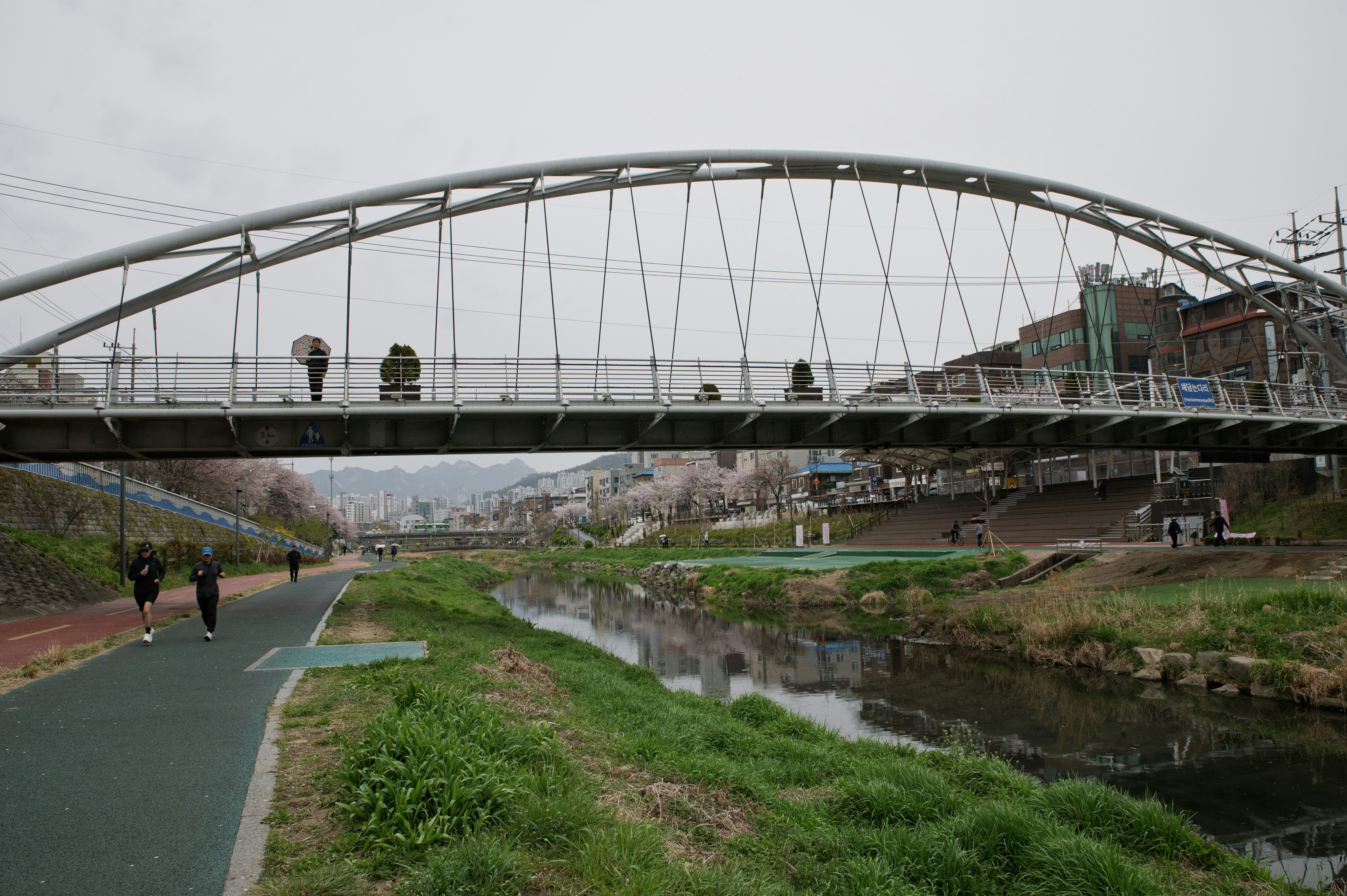 Pedestrian Bridge over a Riverside Path