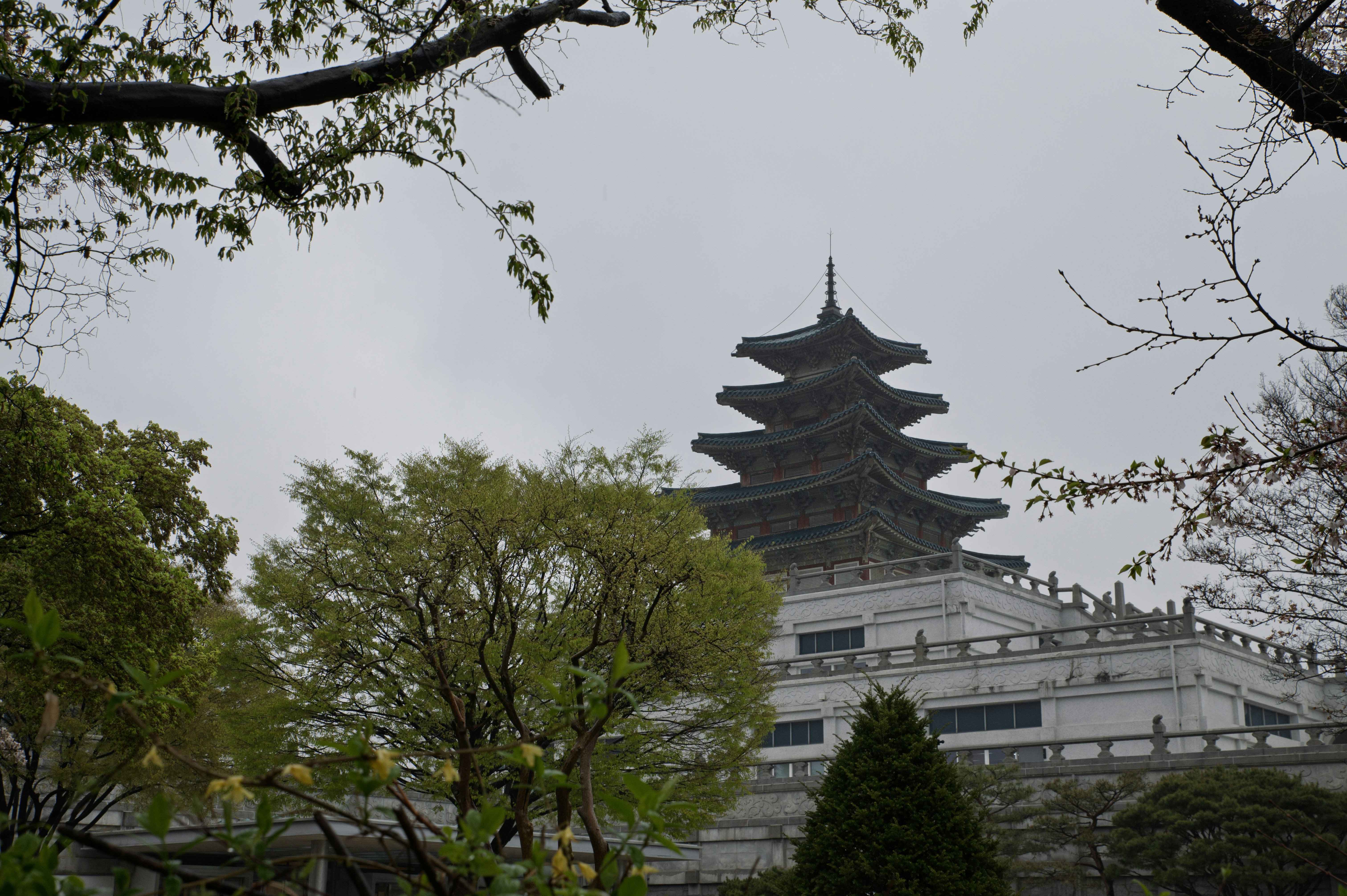 Pagoda Overlook: Framed Temple Under Open Sky