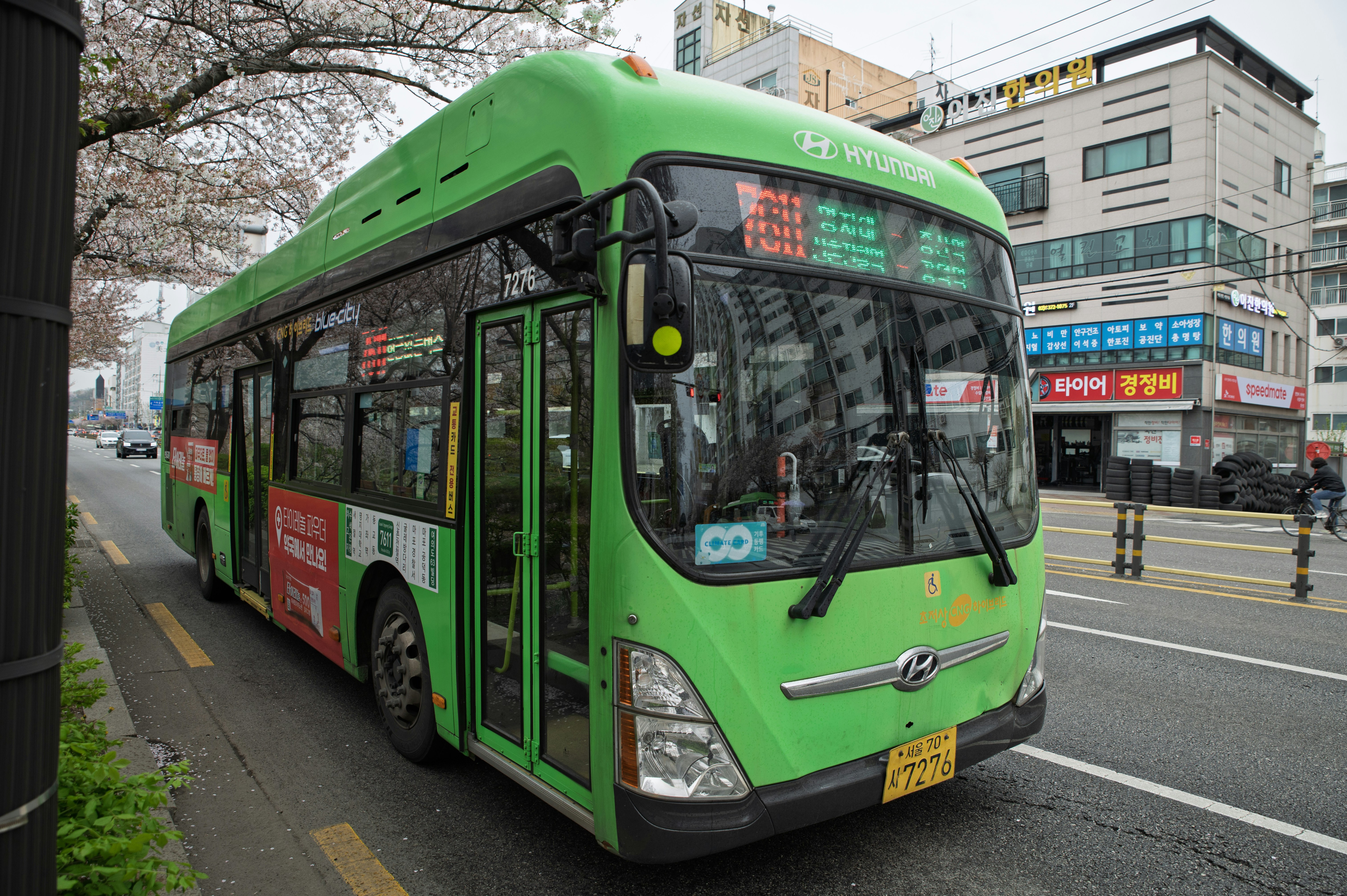 Green City Bus at the Curb: A Bus Stop in Motion