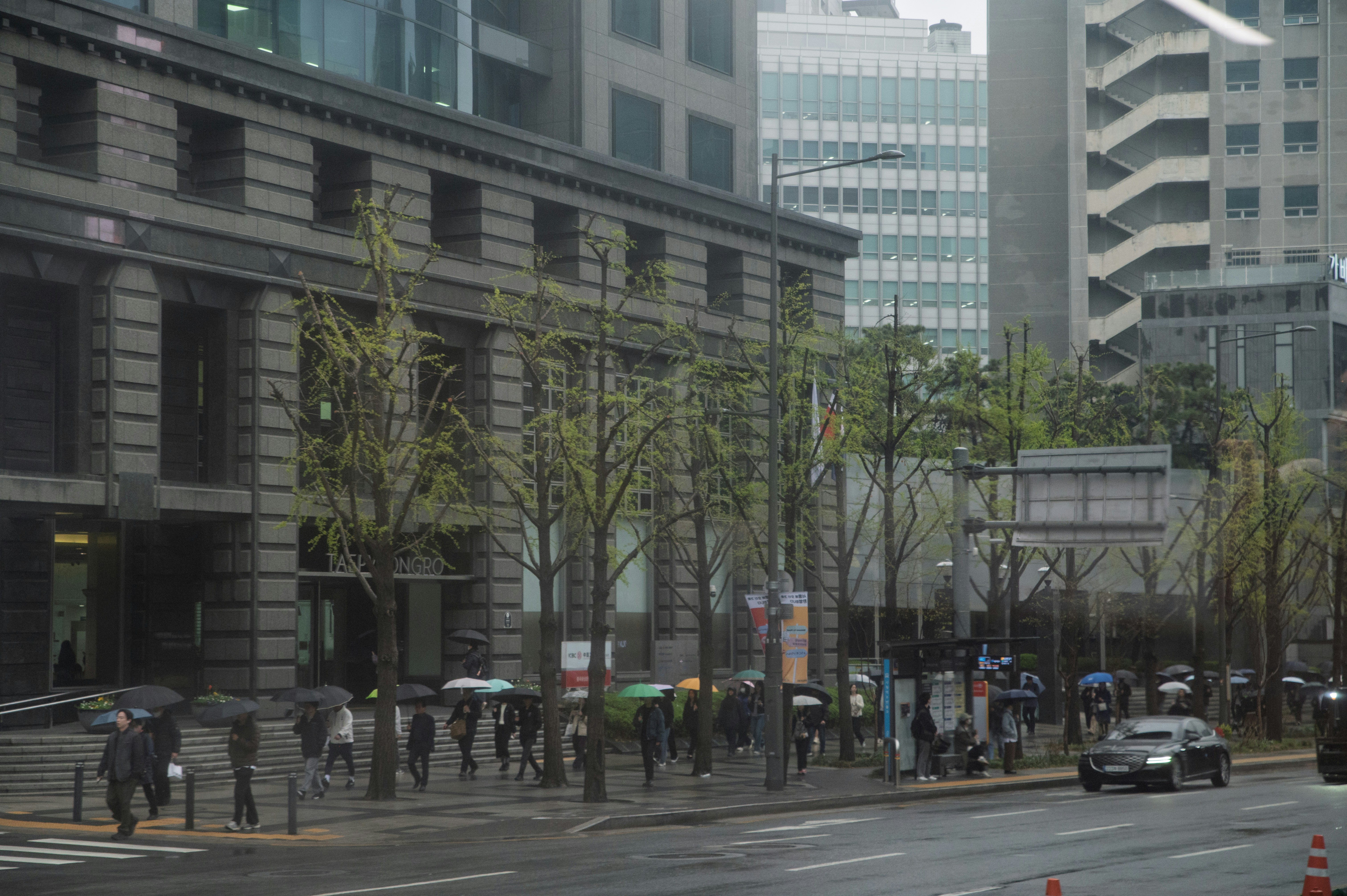Rainy Street in the Glass Canopy City