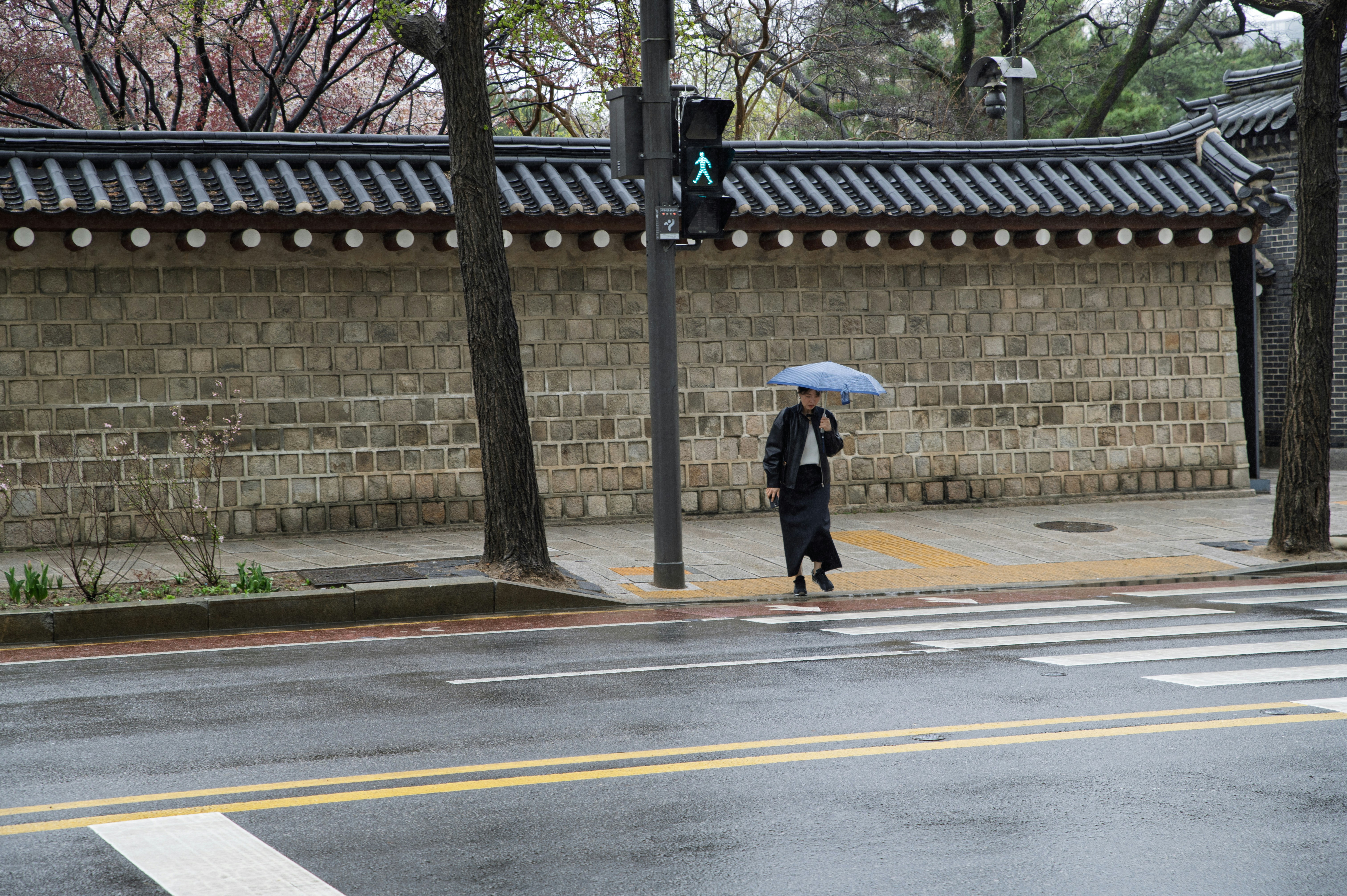Umbrella Crossing: A Quiet Street Moment Under Gray Skies