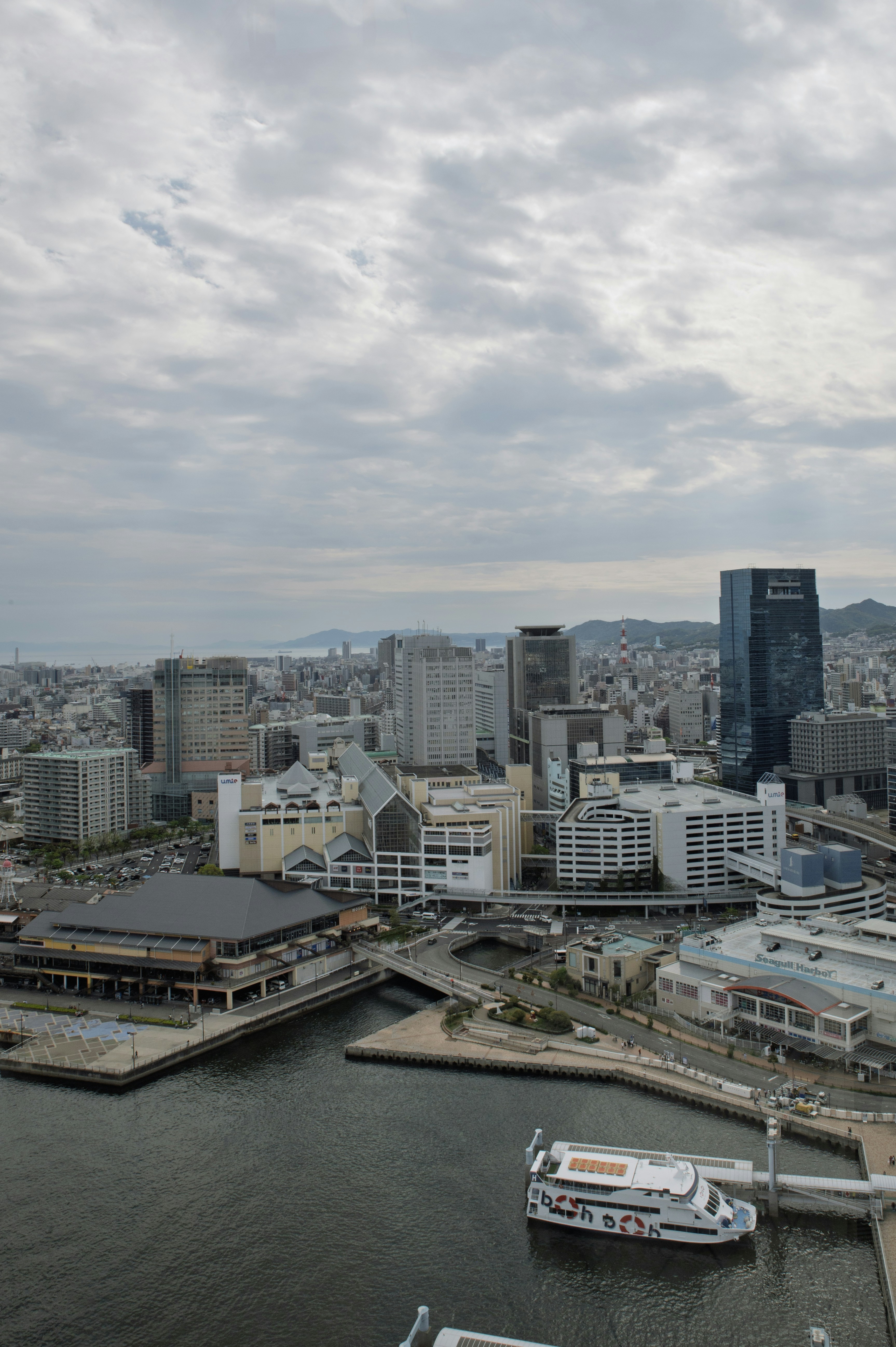 River Terminal Overlook: A Distant City Crescent