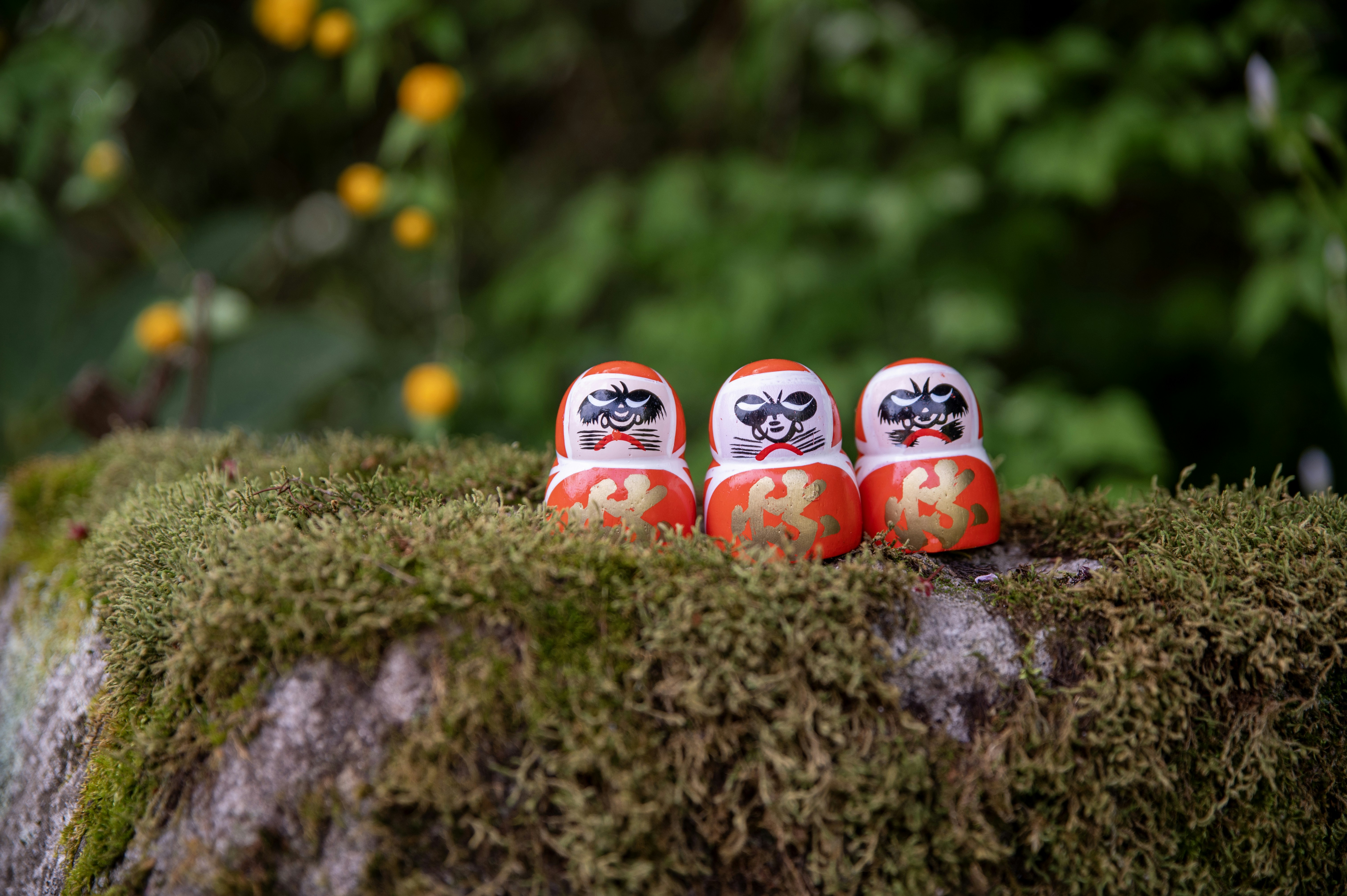 Three Daruma on Mossy Log: Quiet Cheer in the Garden