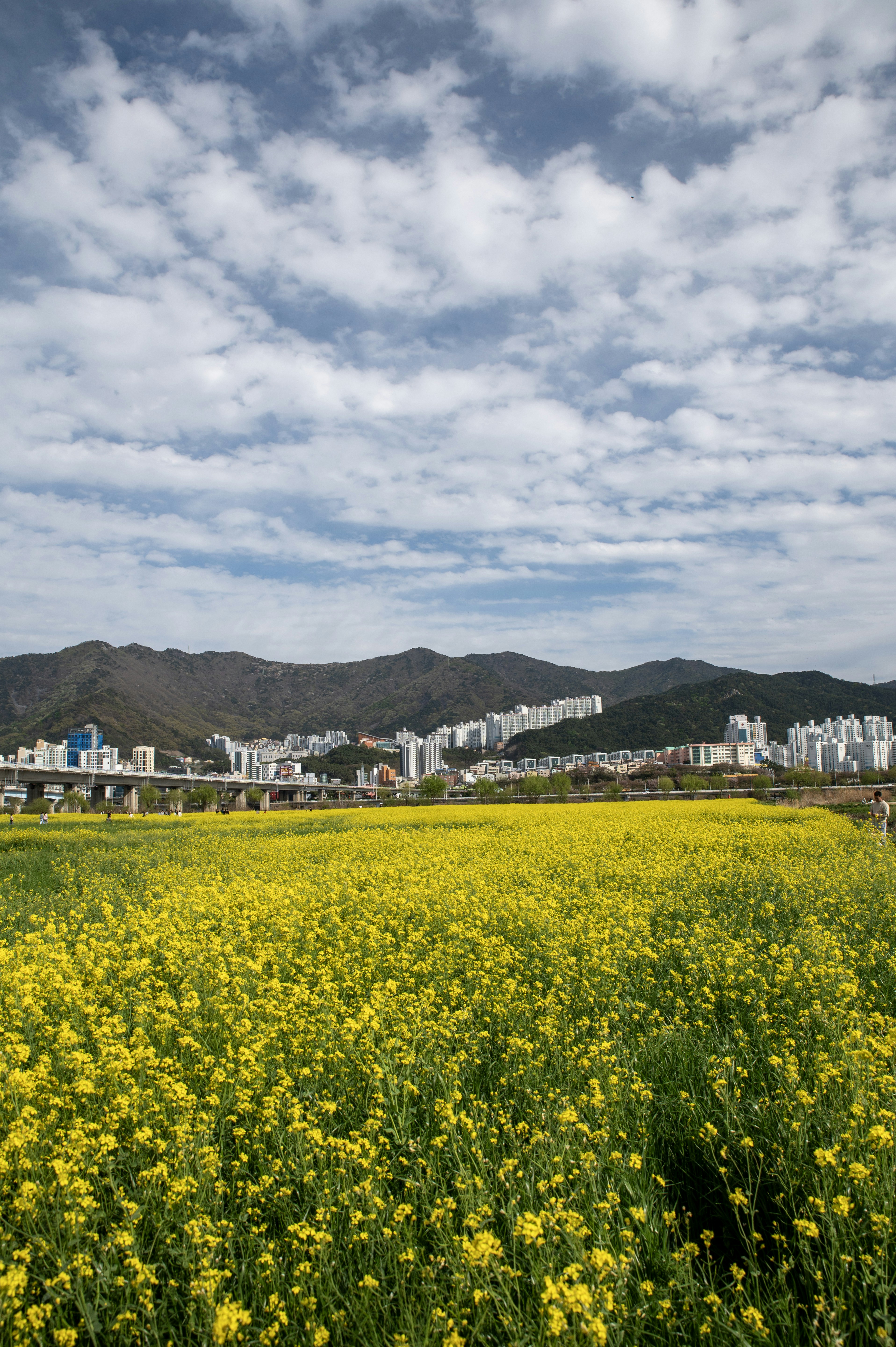 Ecological park, Busan, South Korea