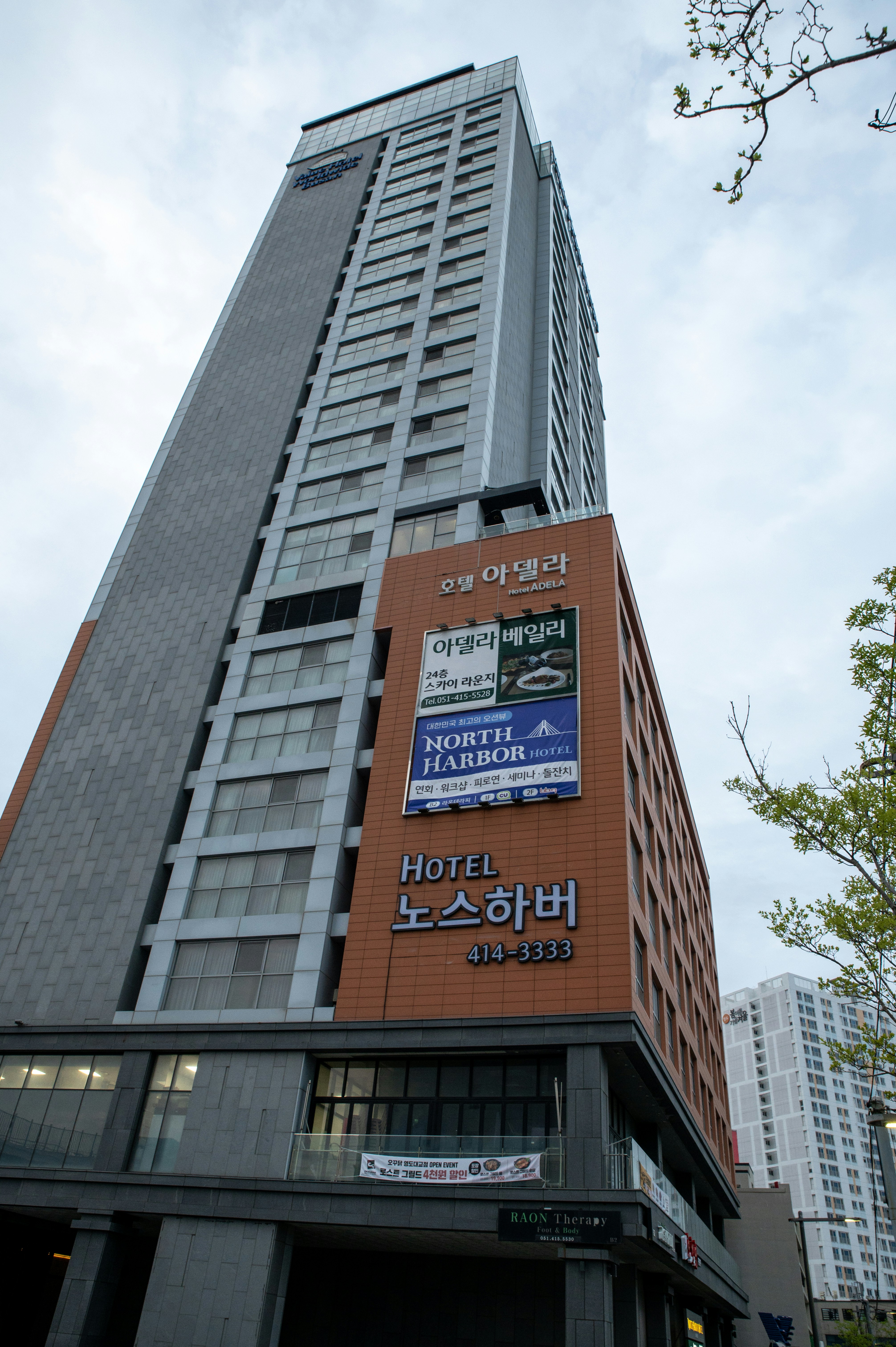 Vertical Echo: A Skyscraper Adorning the Sky