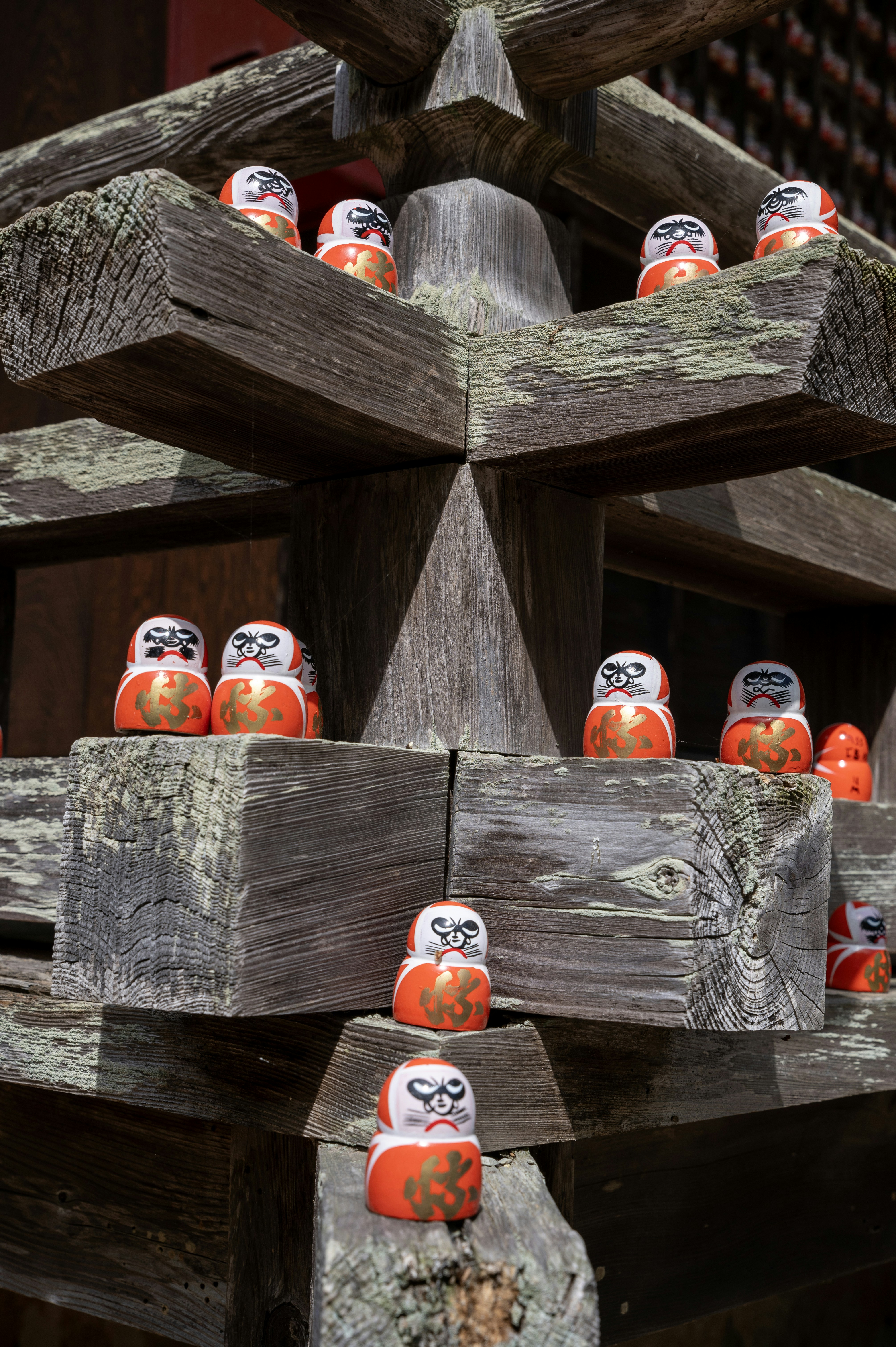 Sparce Daruma Row Across Weathered Timber