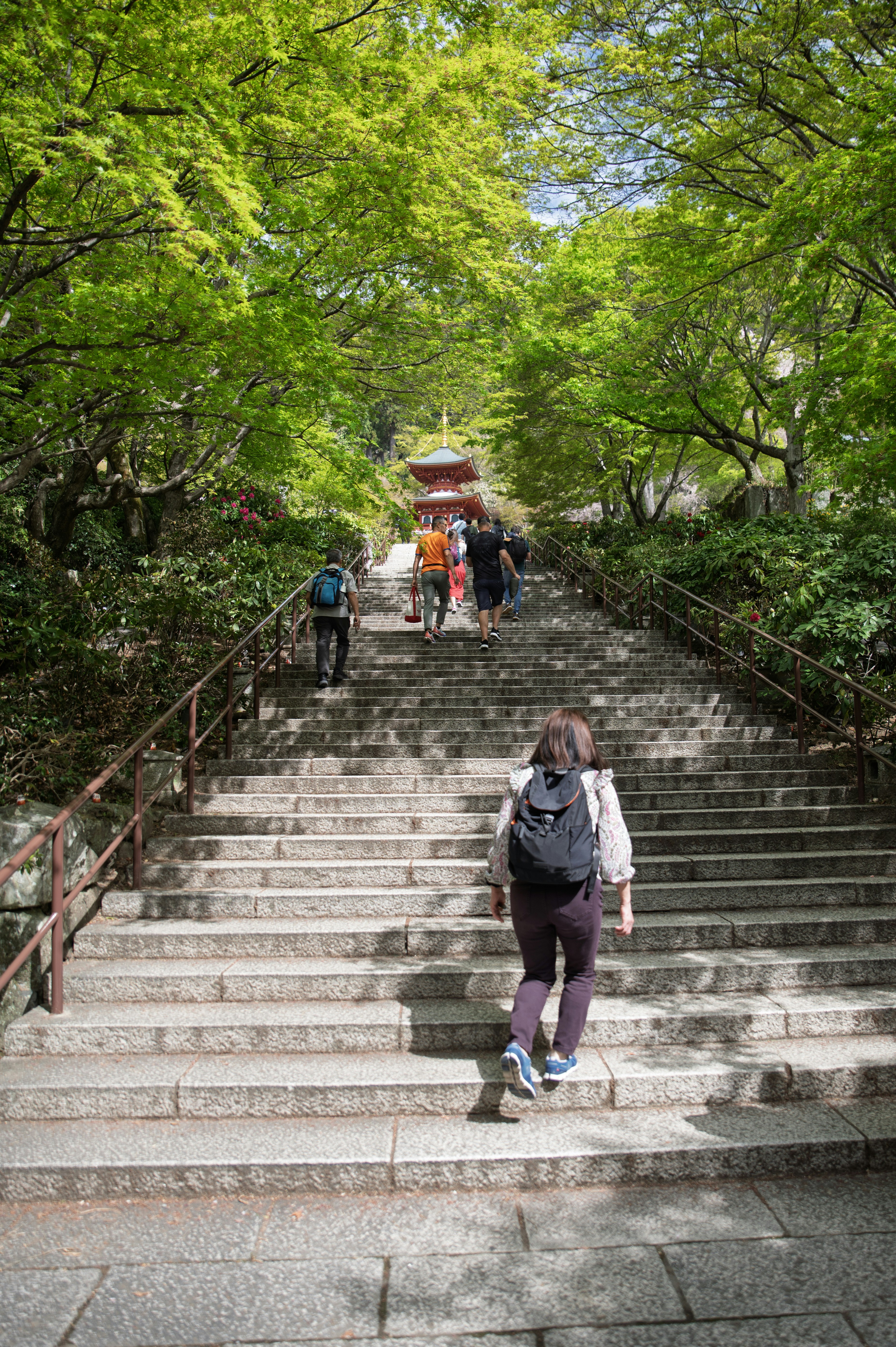 Steps Toward the Pagoda: A Hiker Ascends a Lush Green Path