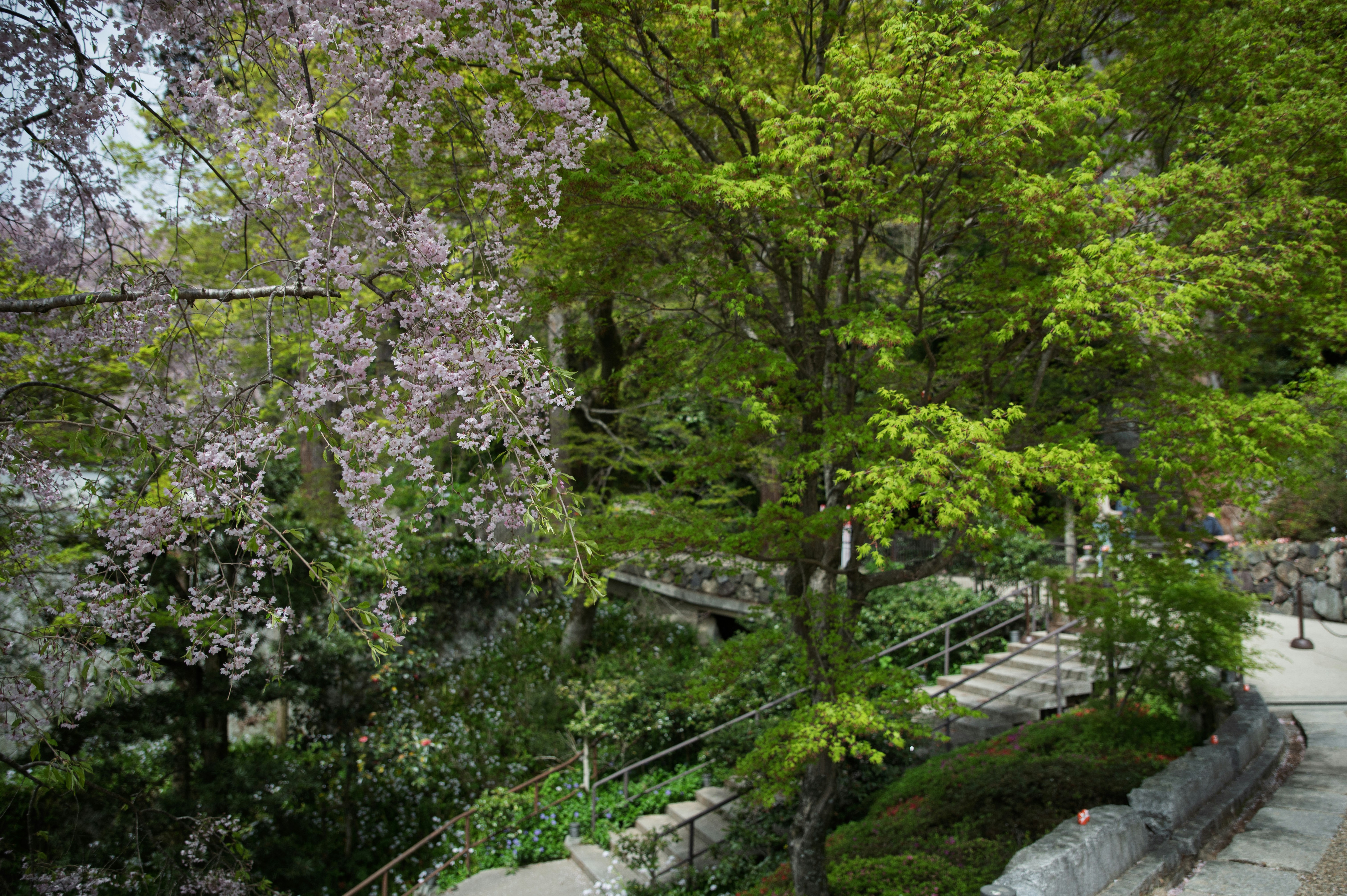 Stone Path Through a Spring-Kreuz Garden