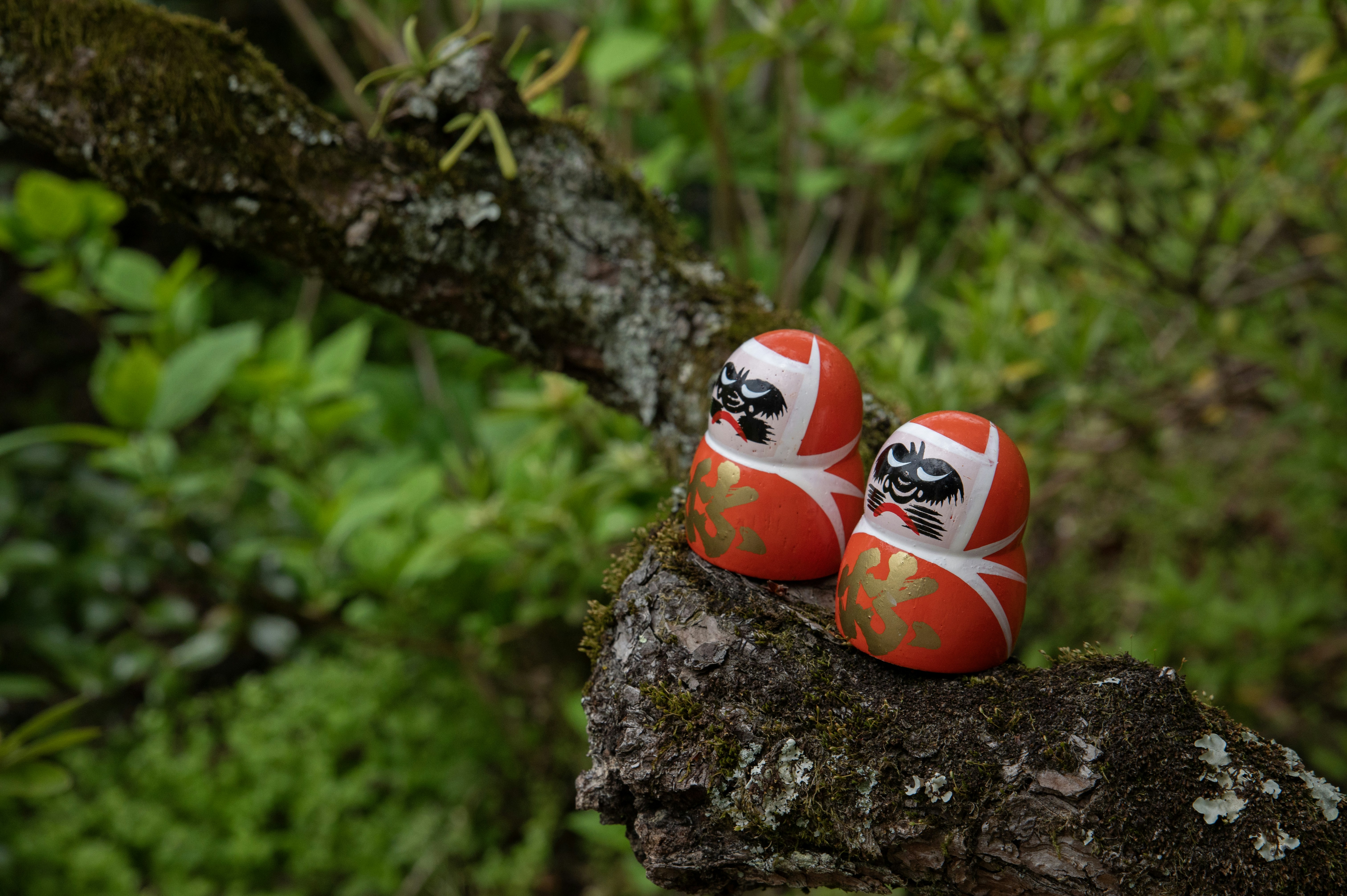 Two Red Daruma on Mossy Branch: Quiet Focus in a Lush Green Patch