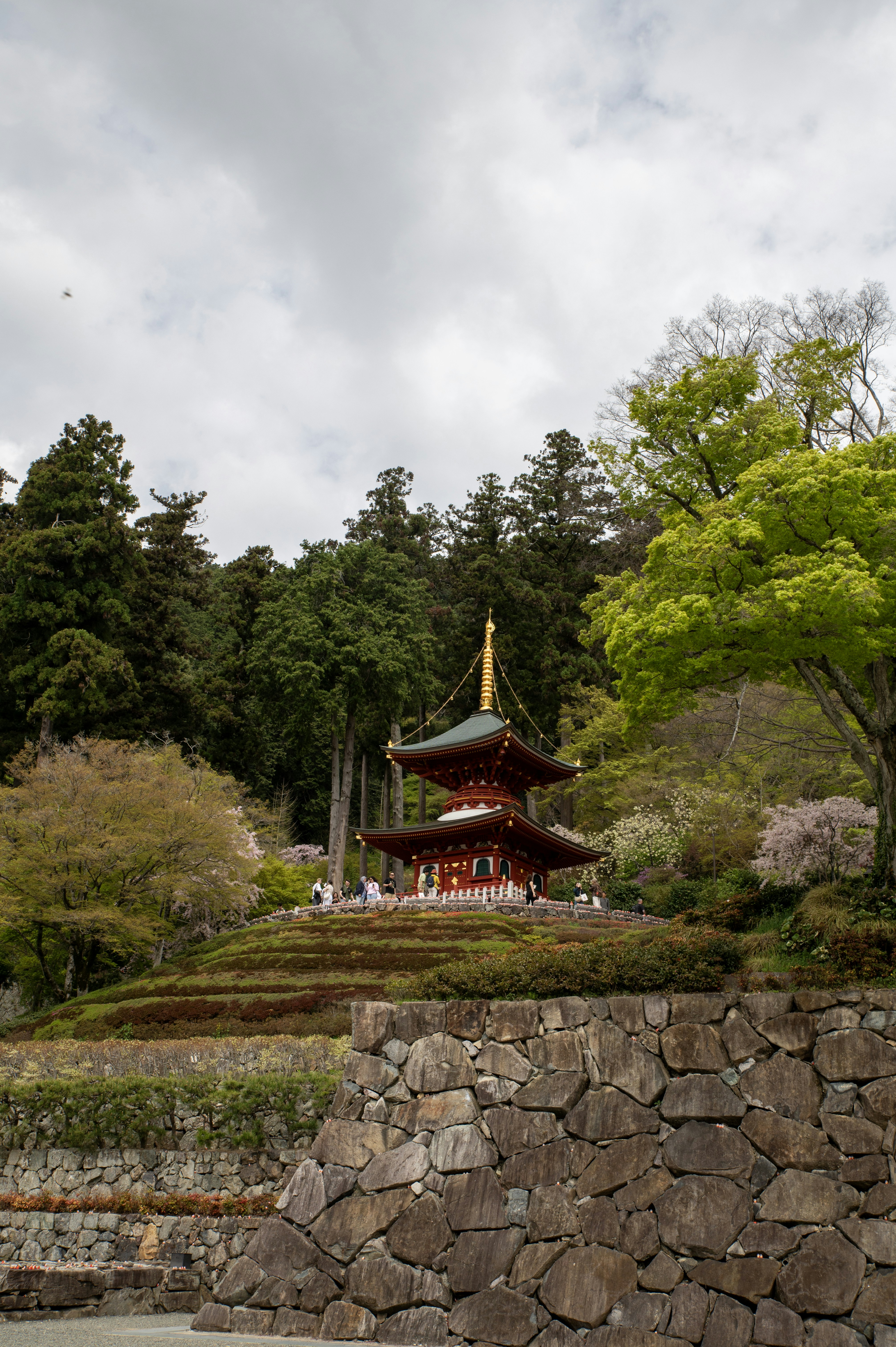 Temple on the Stone Terrace: A Quiet Glade AmidSpring