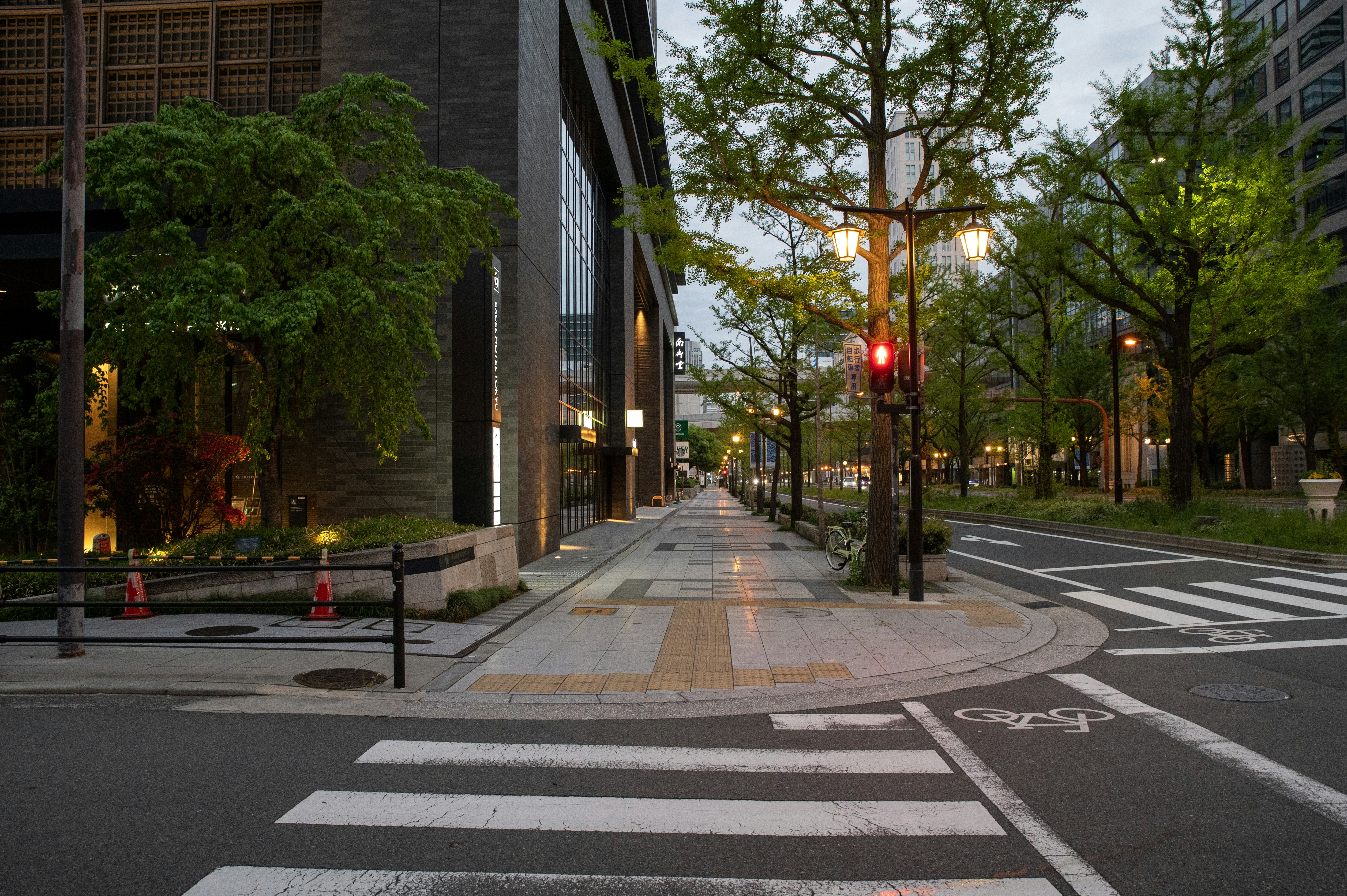Dawn on a Quiet City Boulevard