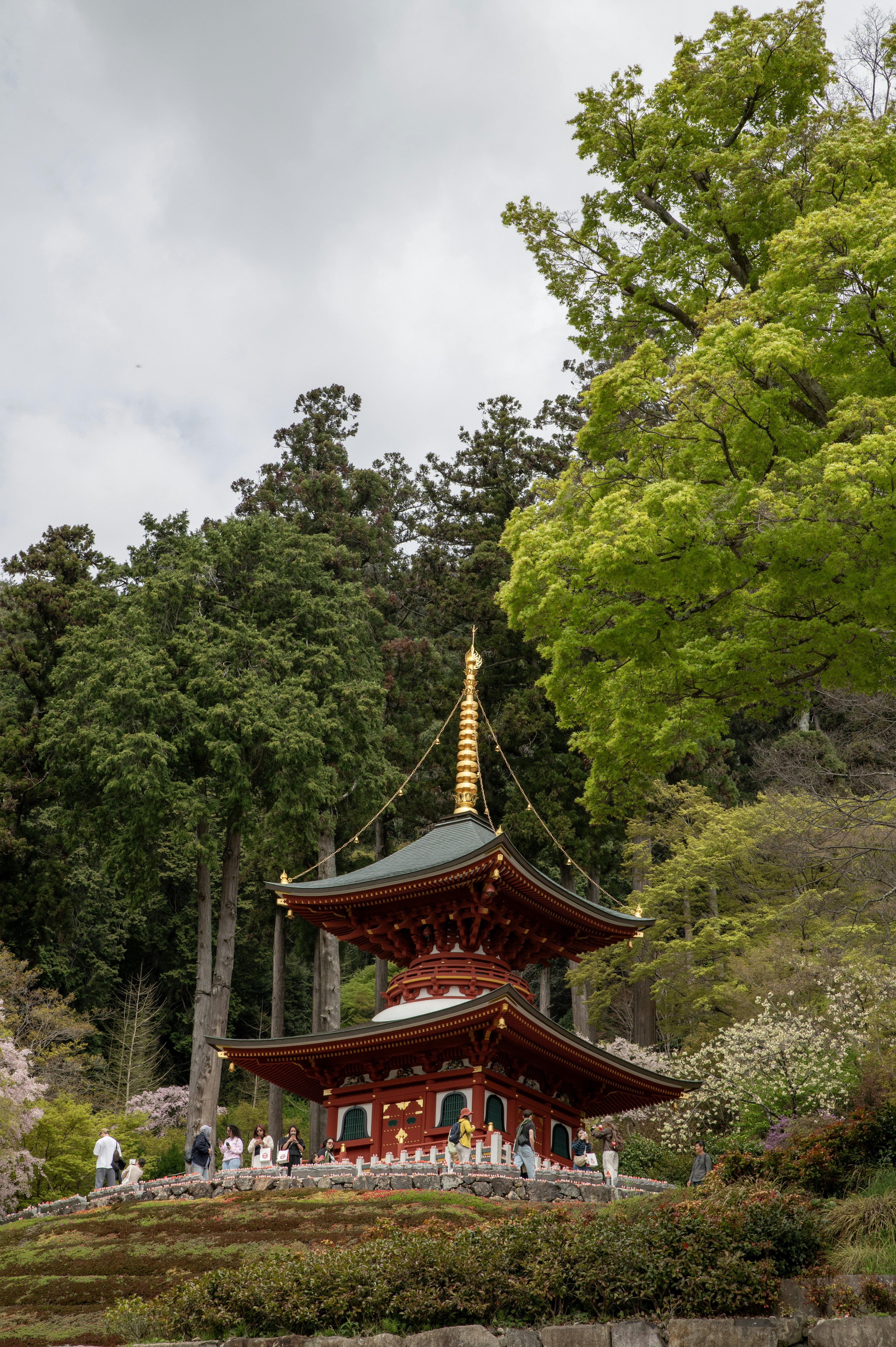 Red Pagoda Under Canopy: A Tranquil Temple Amid Spring Fronds
