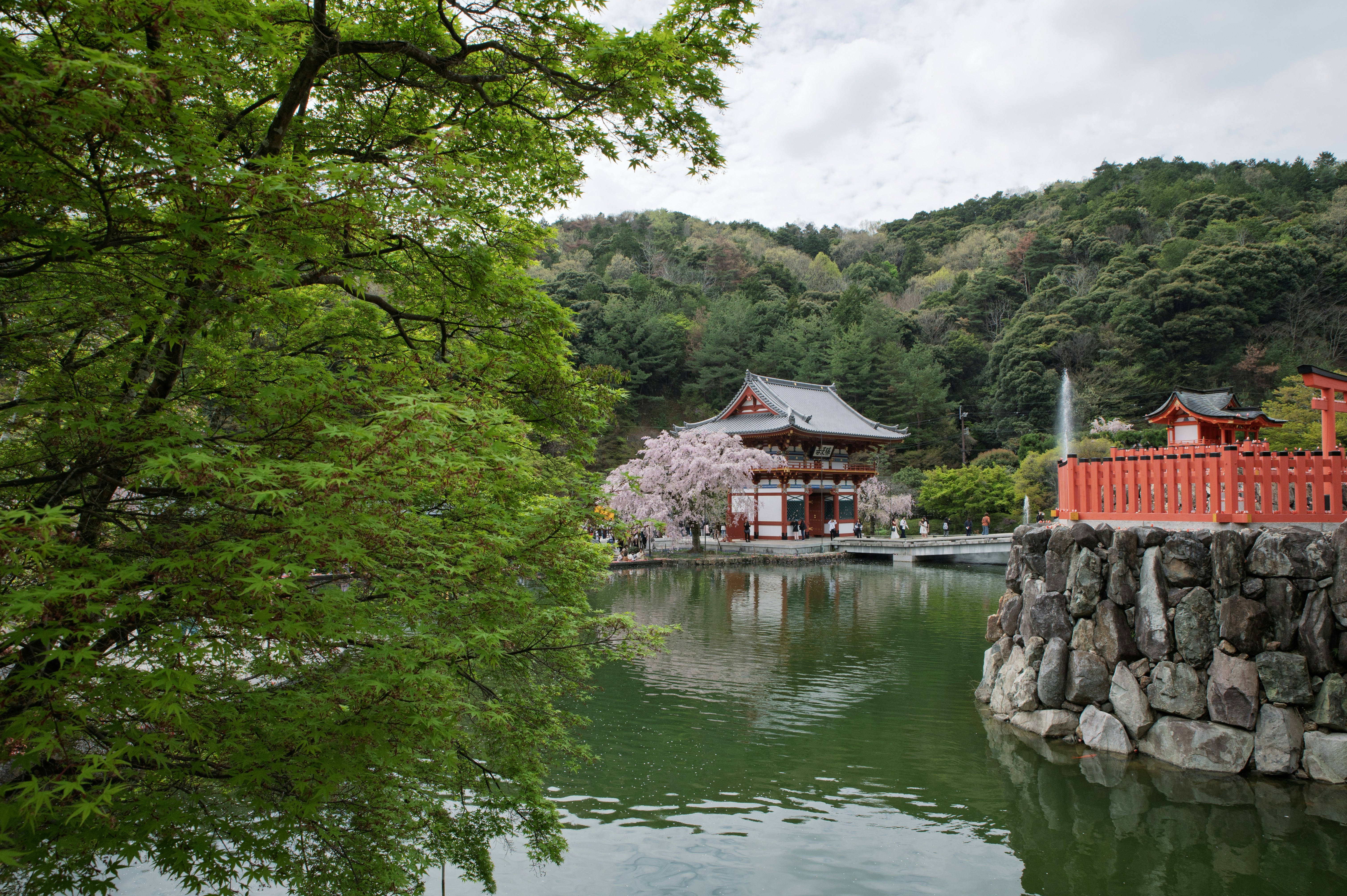 Cherry Blossom Gate Across the Quiet Lake