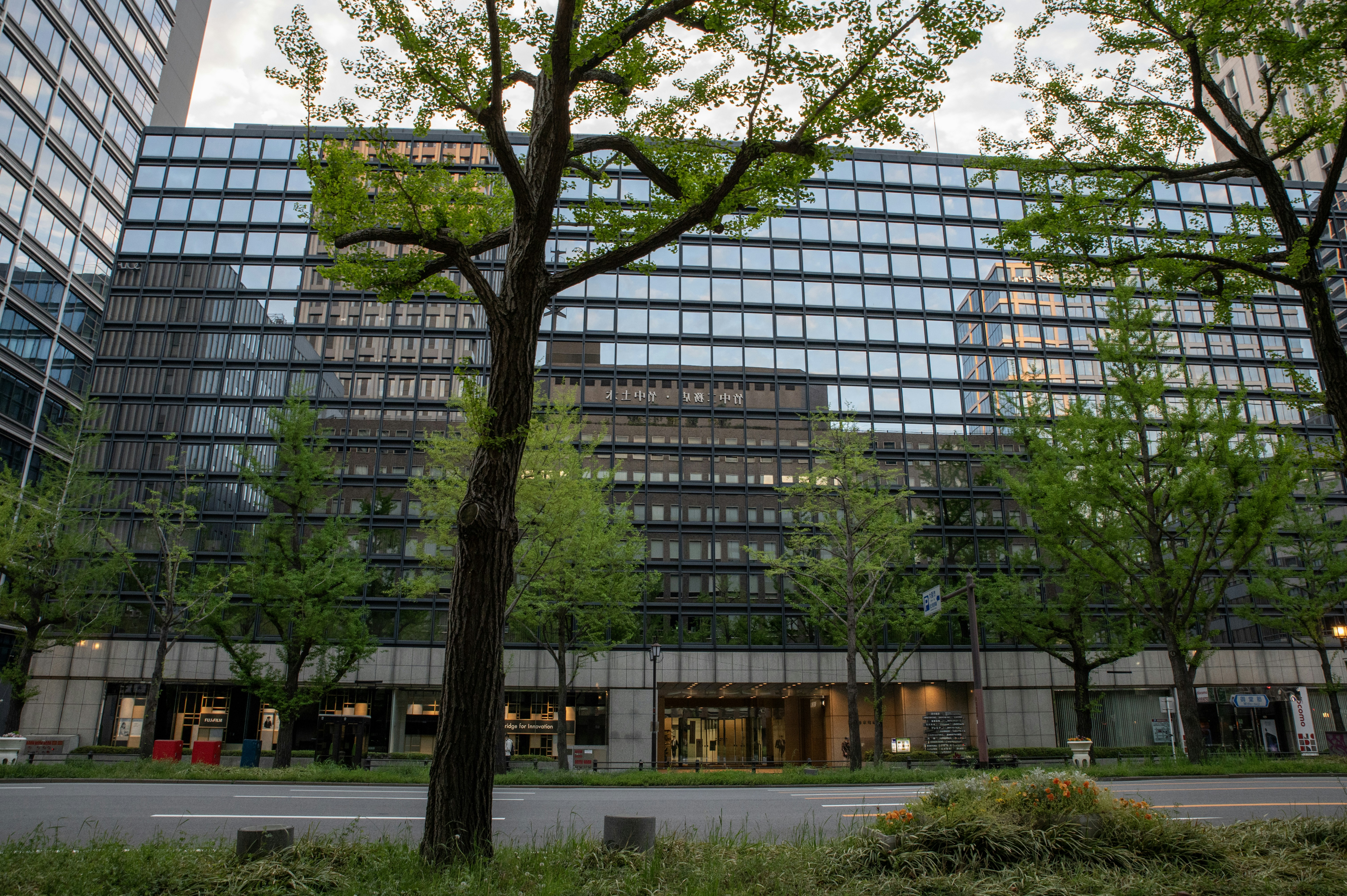 Glass Facade Echoes of a City Park