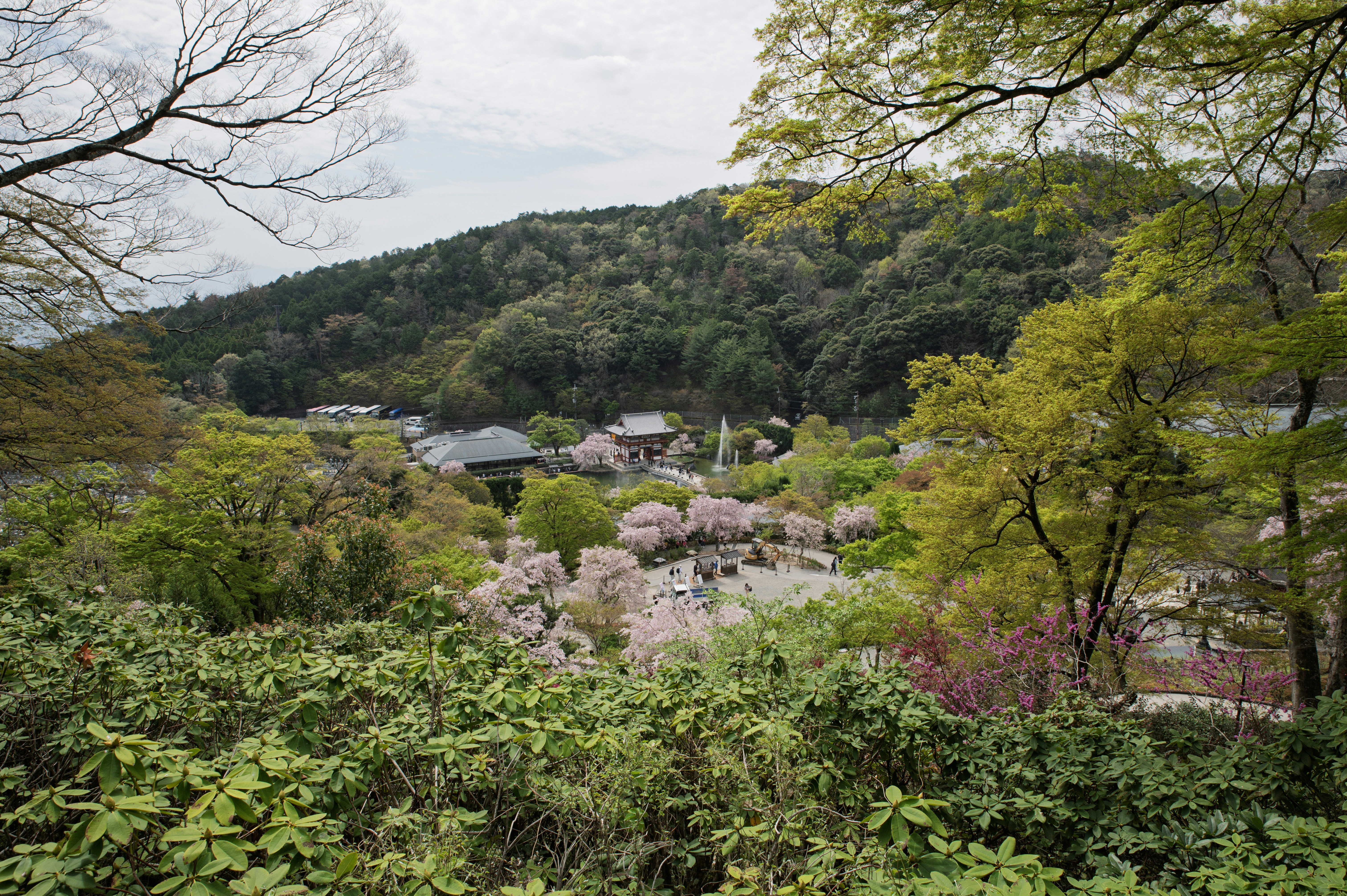 Terraced Garden Oasis Beyond the Hill