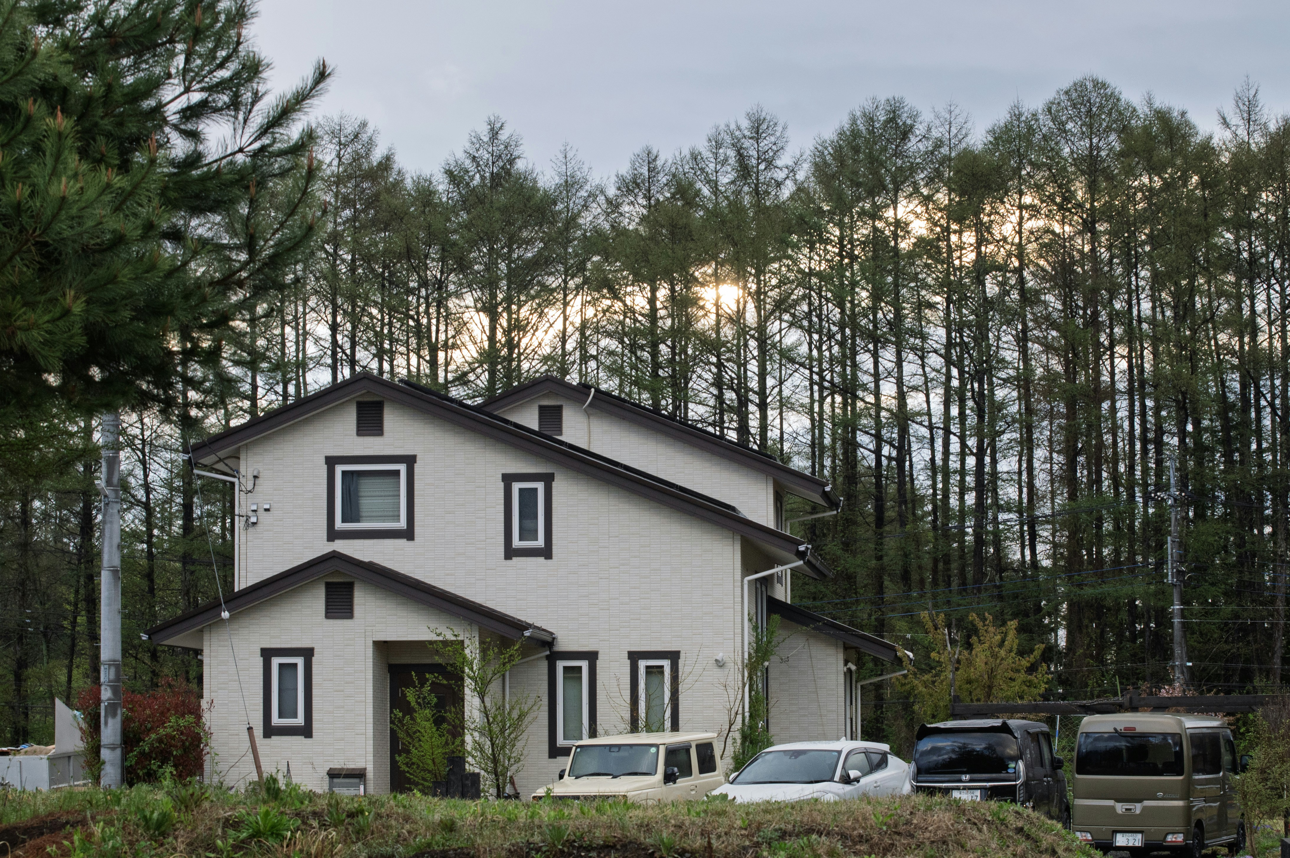Modern Two-Story House Framed by a Row of Trees