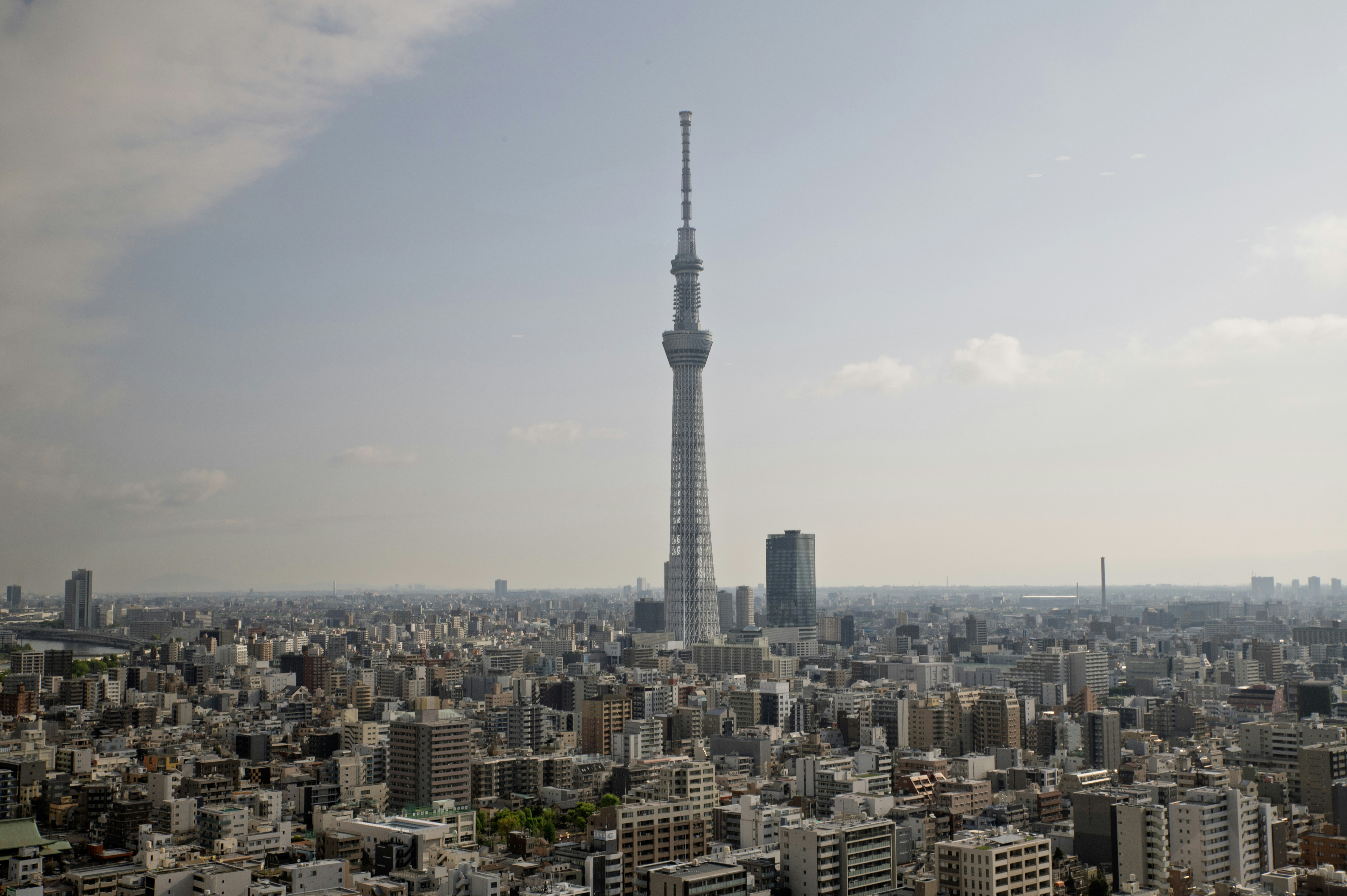 Tall Sentinel Over a Sea of Buildings: Tokyo Skyscraper Panorama