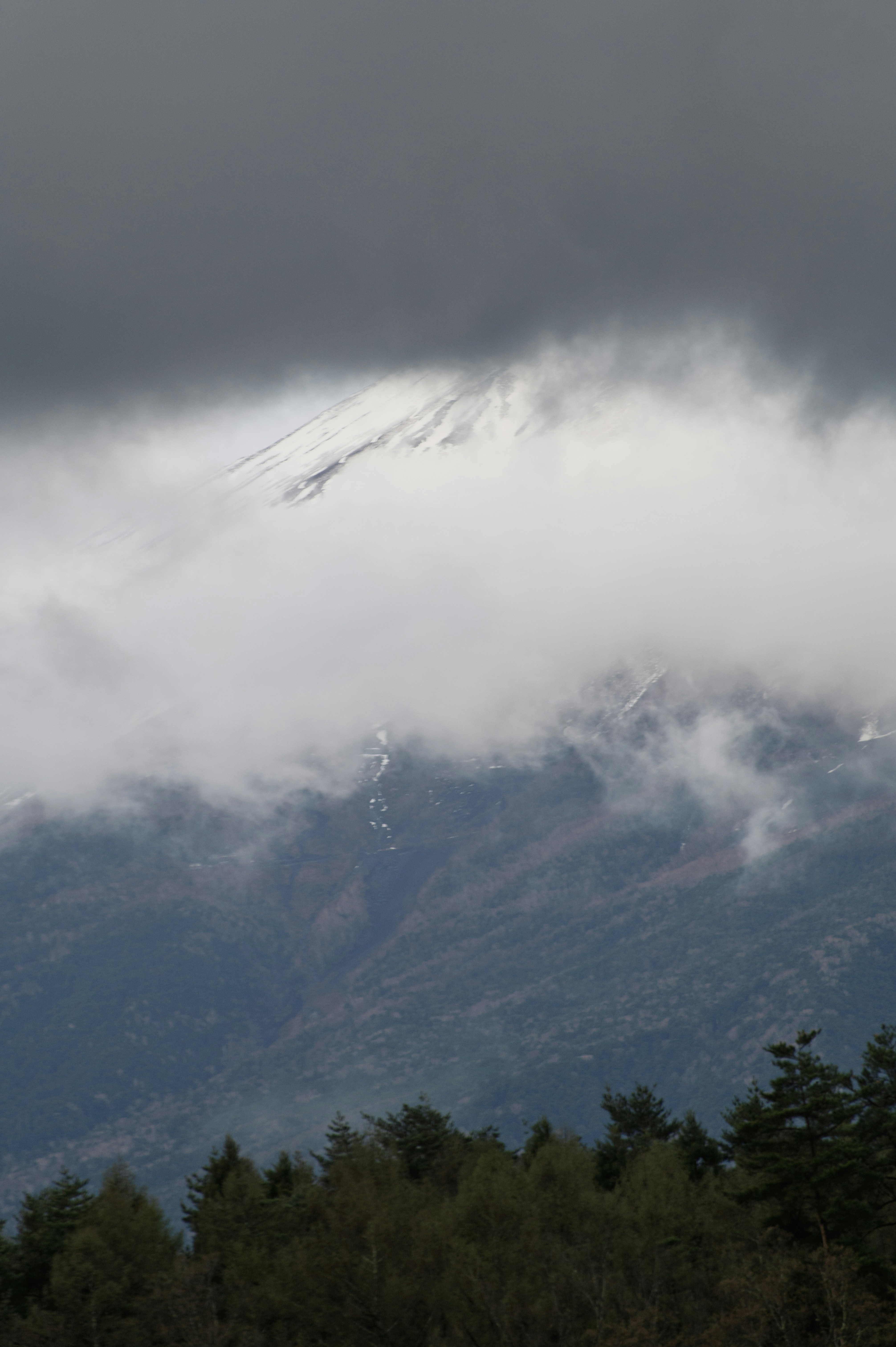 Cloud-veiled peak emerges above a pine-dotted valley
