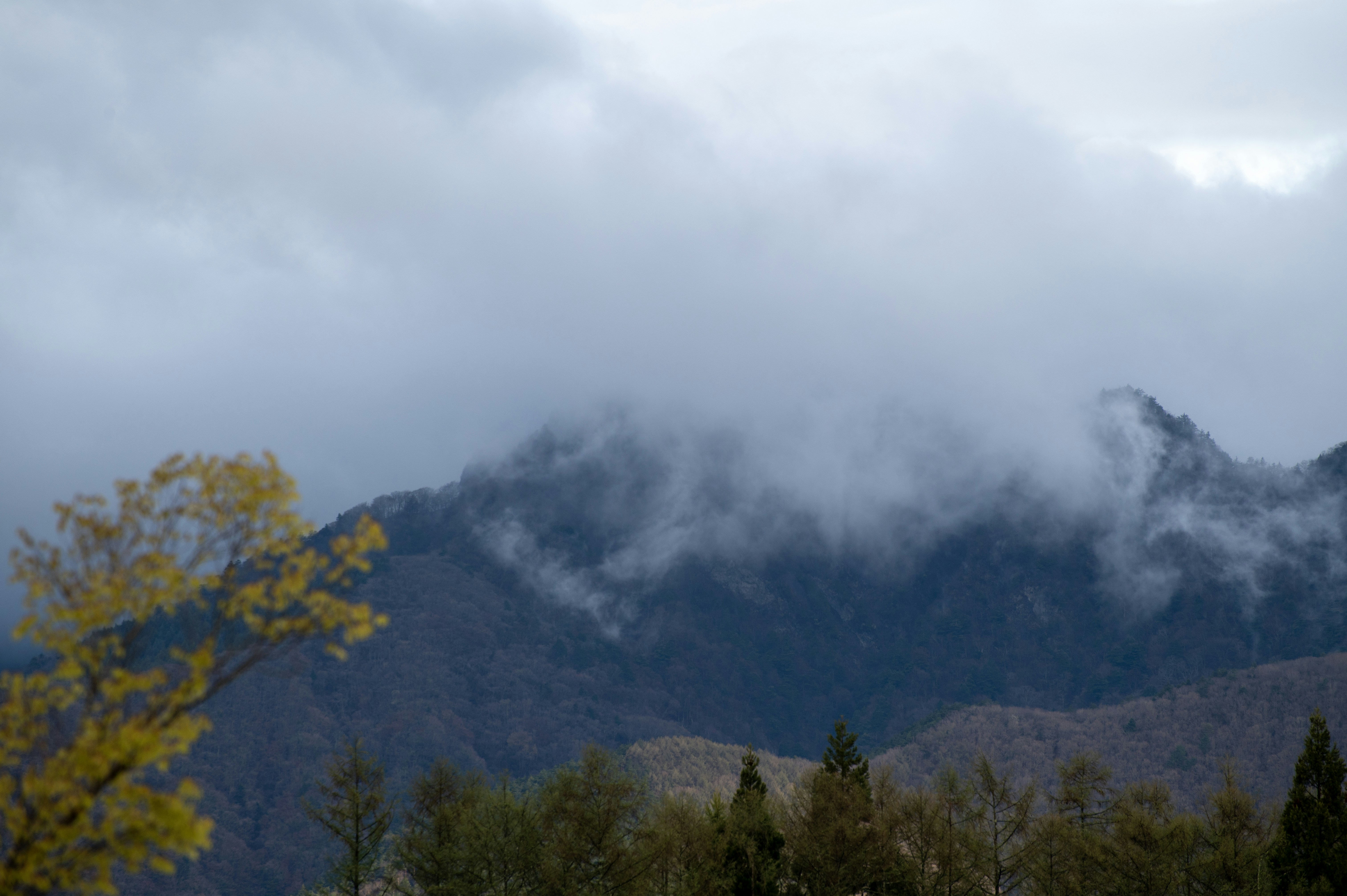 Mist-Laced Ridge Beyond the Autumn Trees