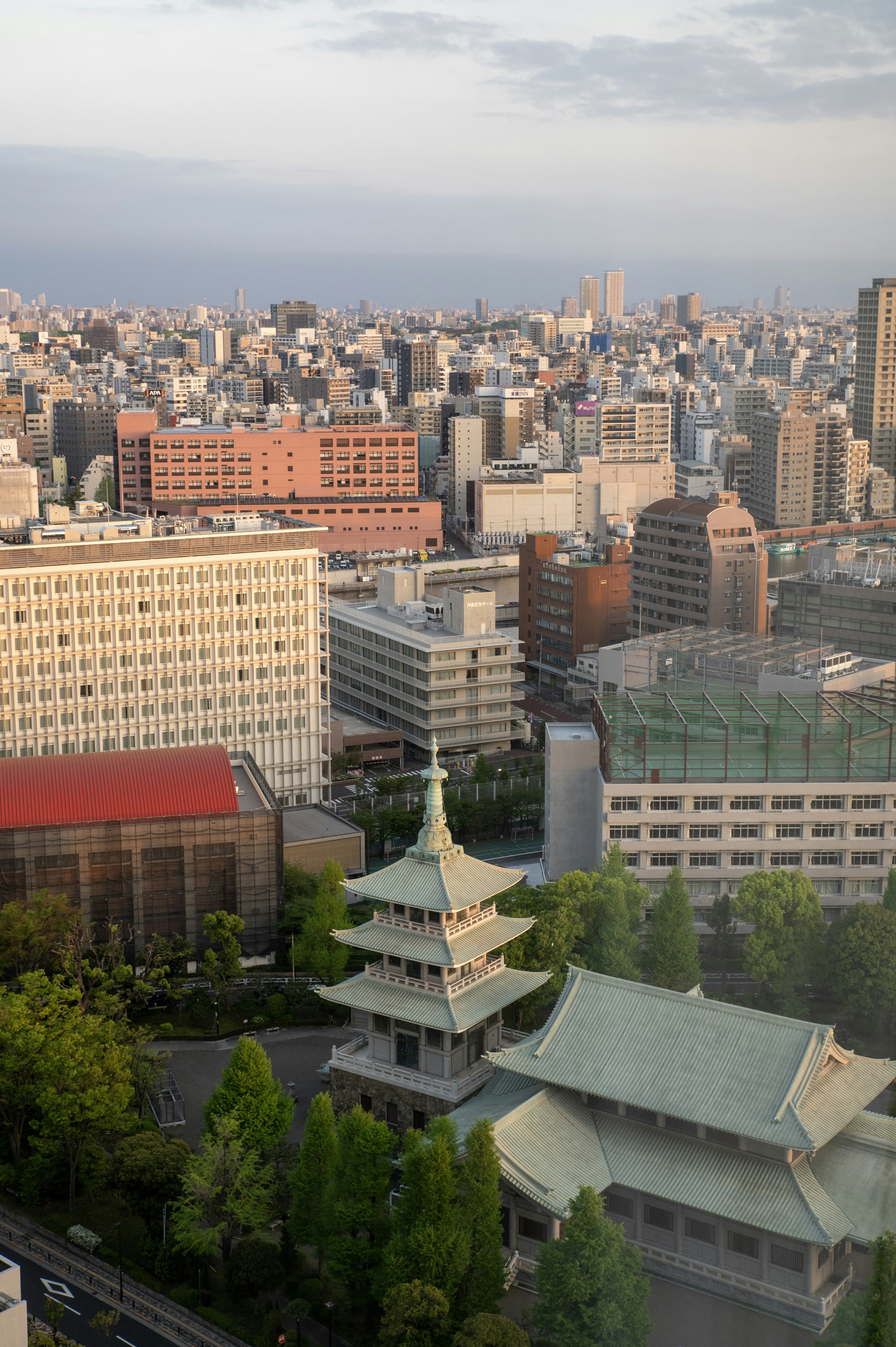 Pagoda Over City: A Quiet Moment Above Tokyo's Rooftops