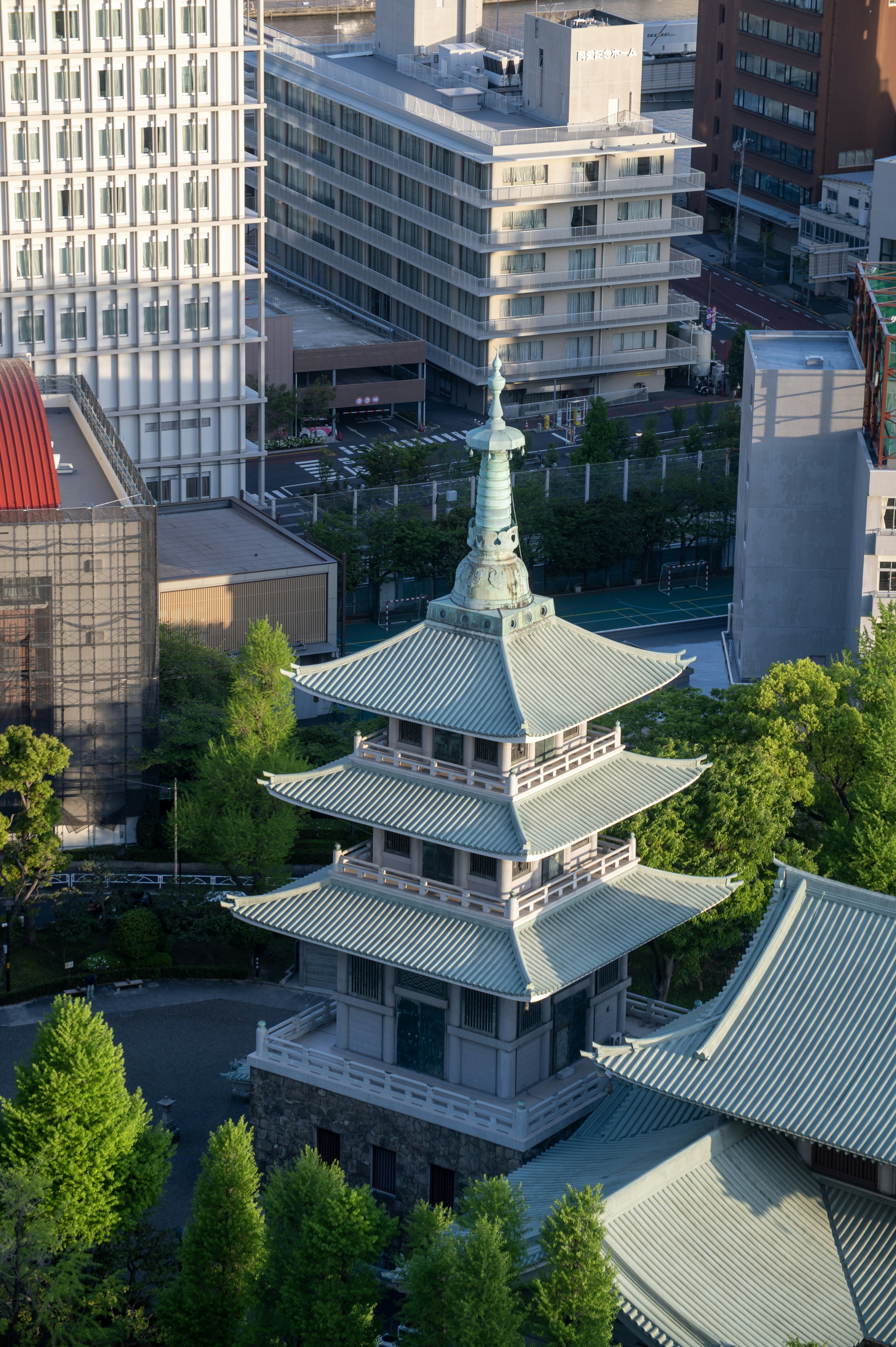 Tokyo’s Guardian: A Calm Pagoda Rising Among Glass Giants