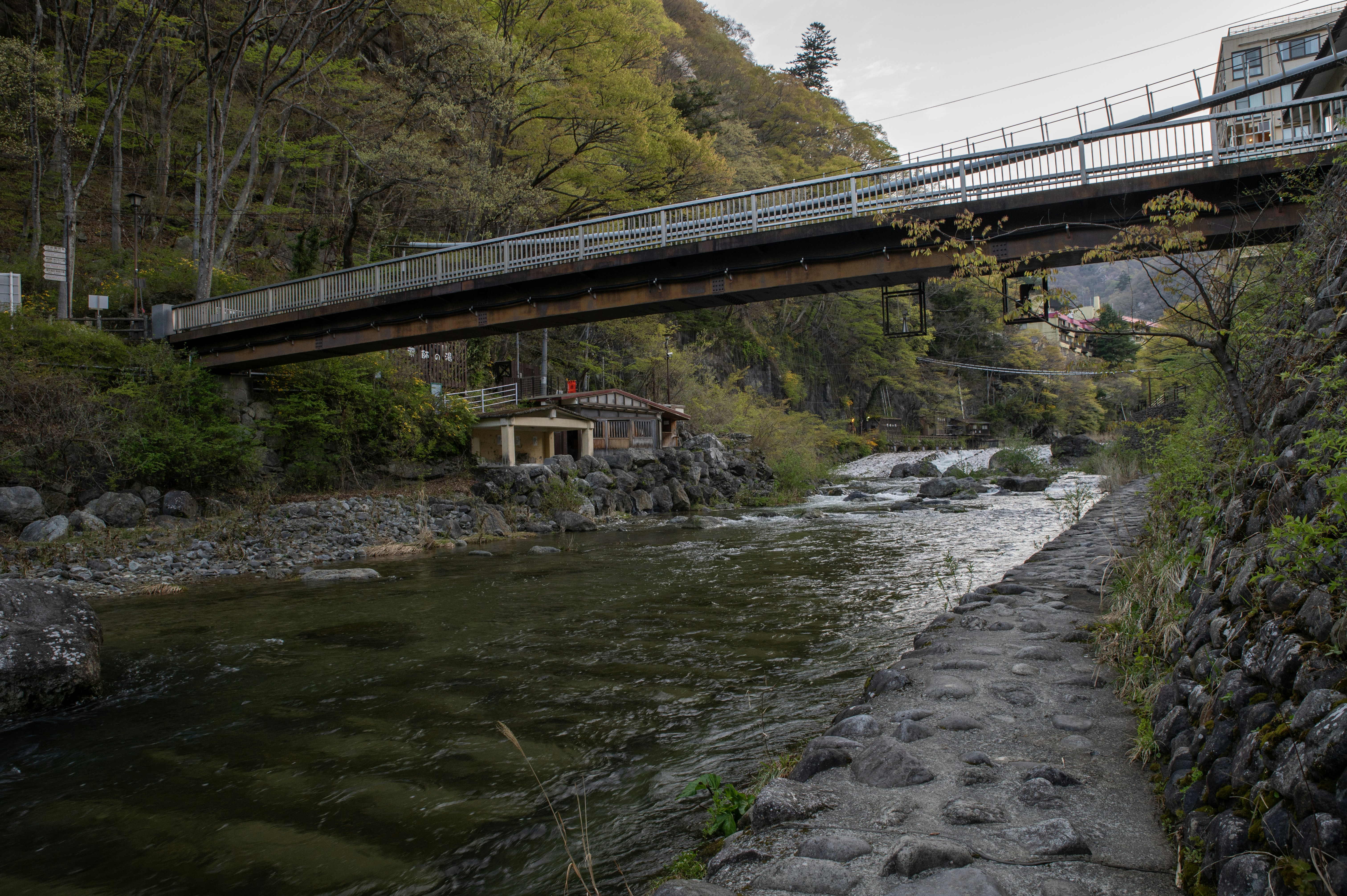 Bridge over the River: Autumn light on a riverside scene