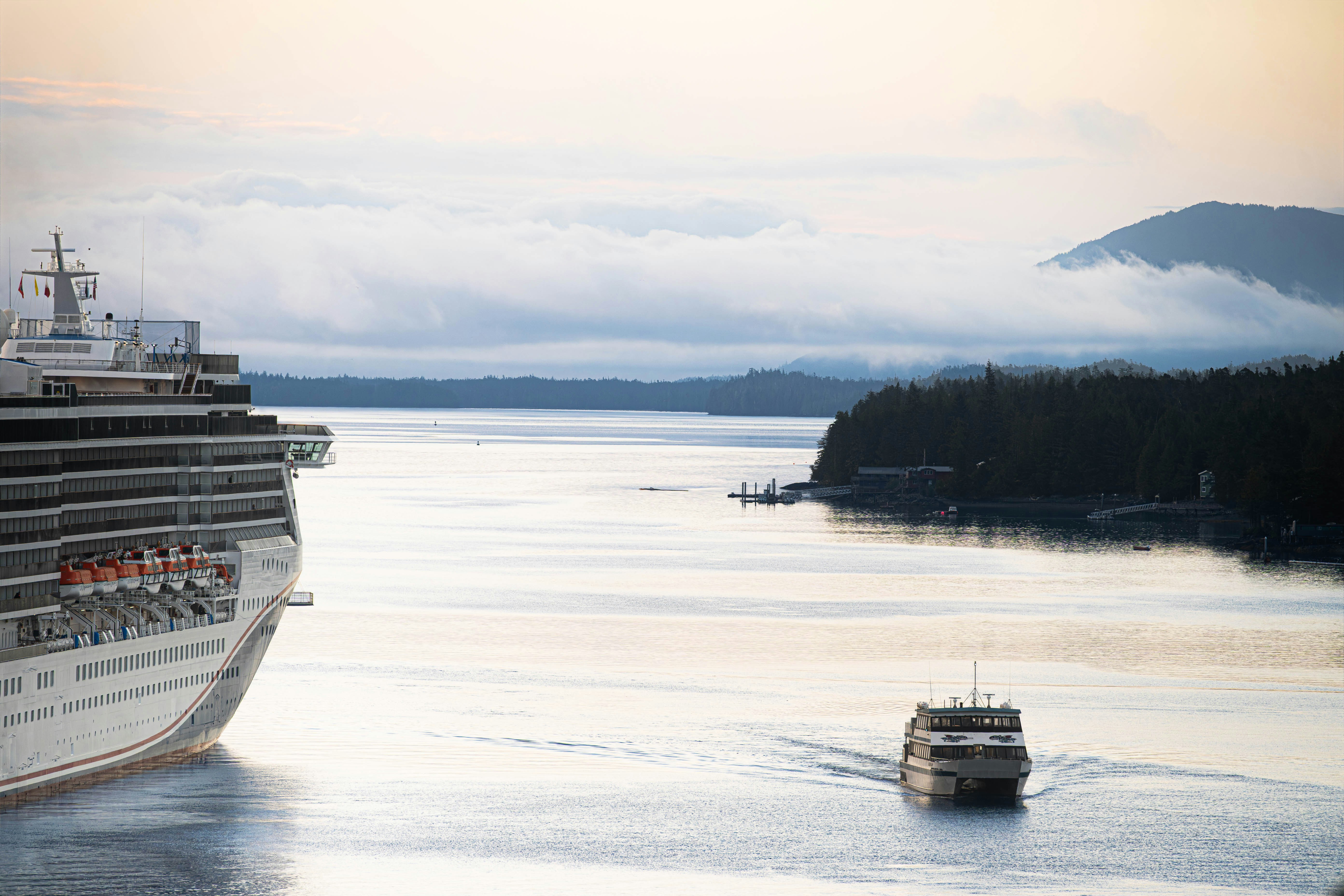 Silent Convergence: The Majestic Ferry and Quiet Fjord