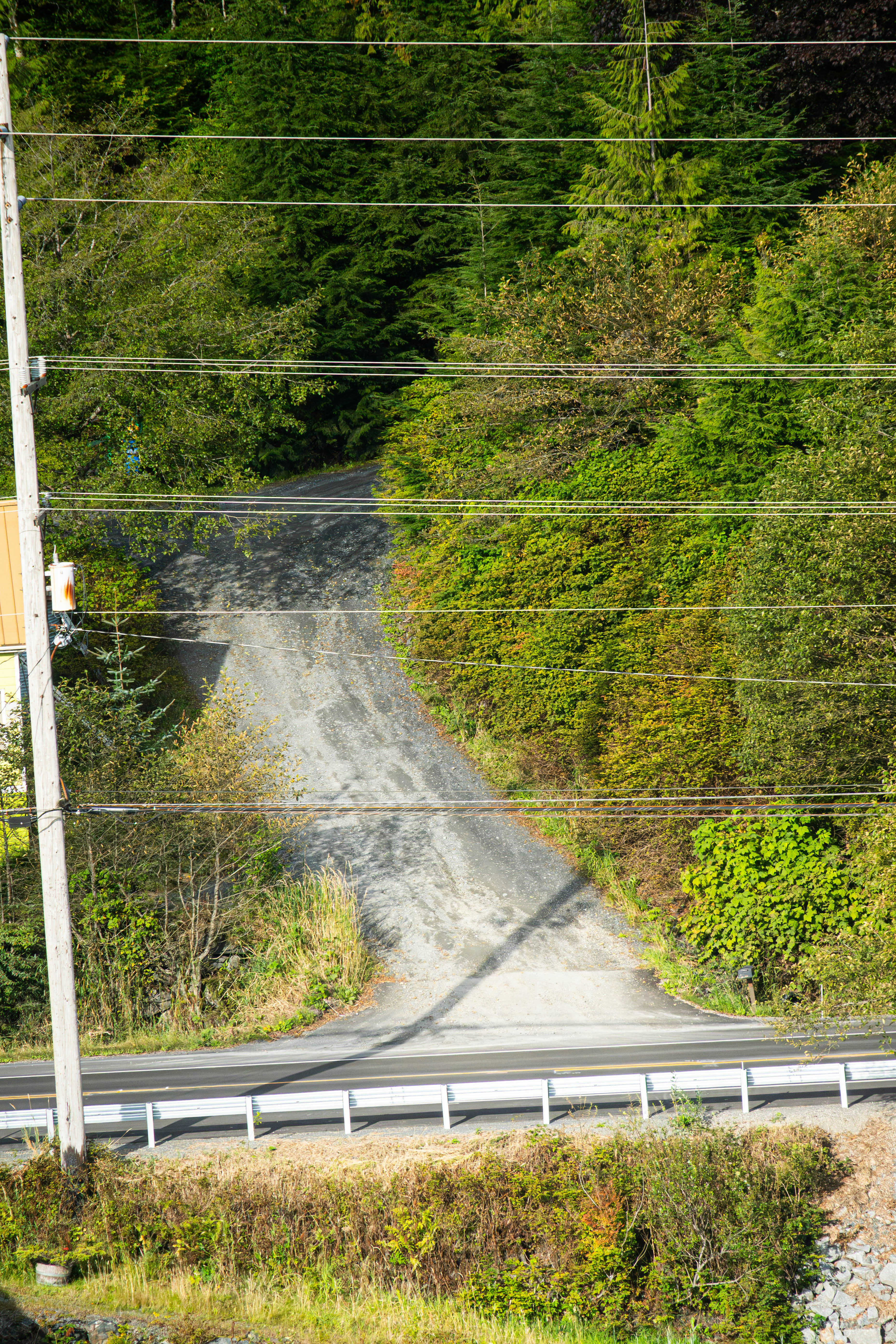 A Quiet Climb: Road Winding Through Greenery Under Power Lines