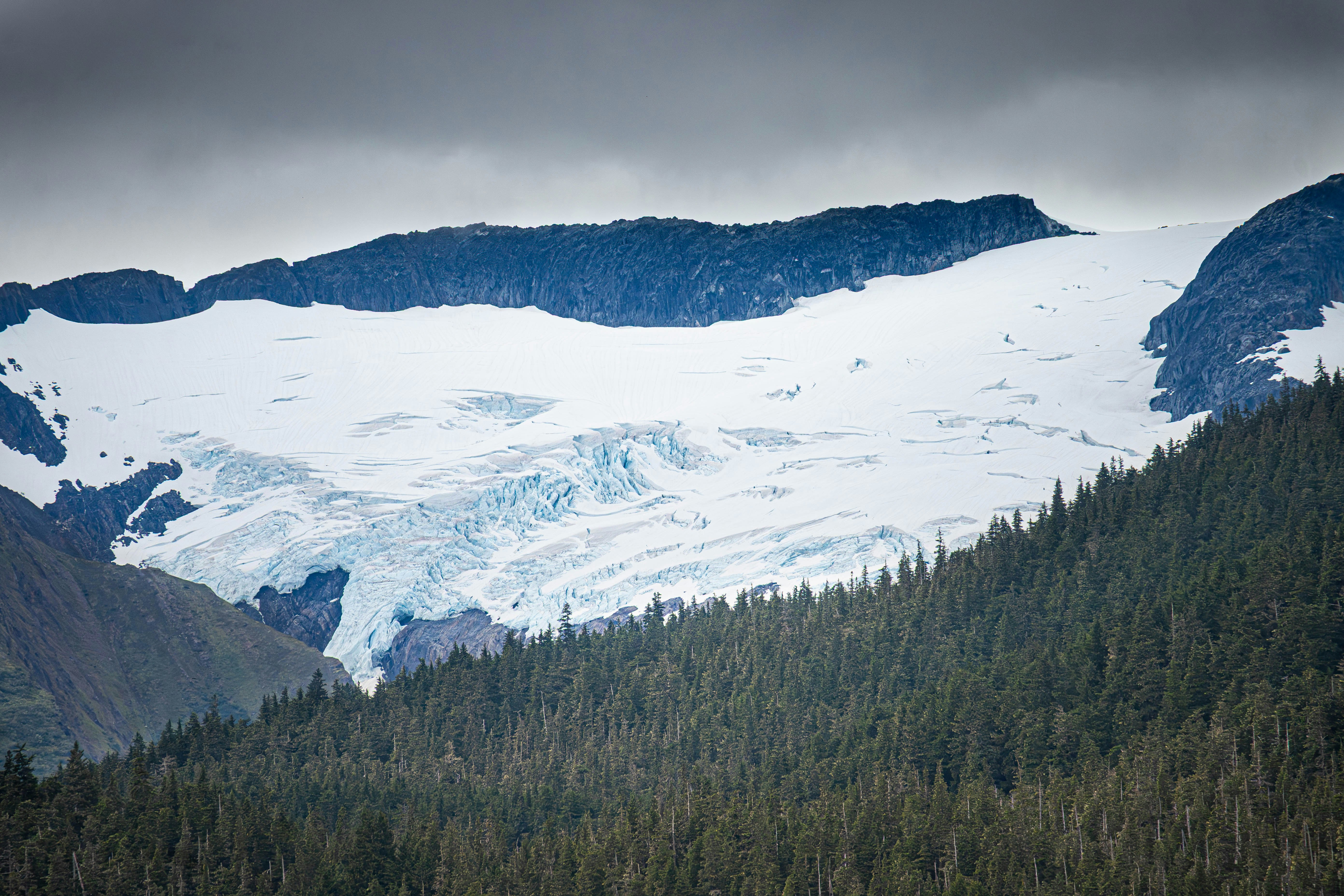 Glacial Crest Over Conifer Ring