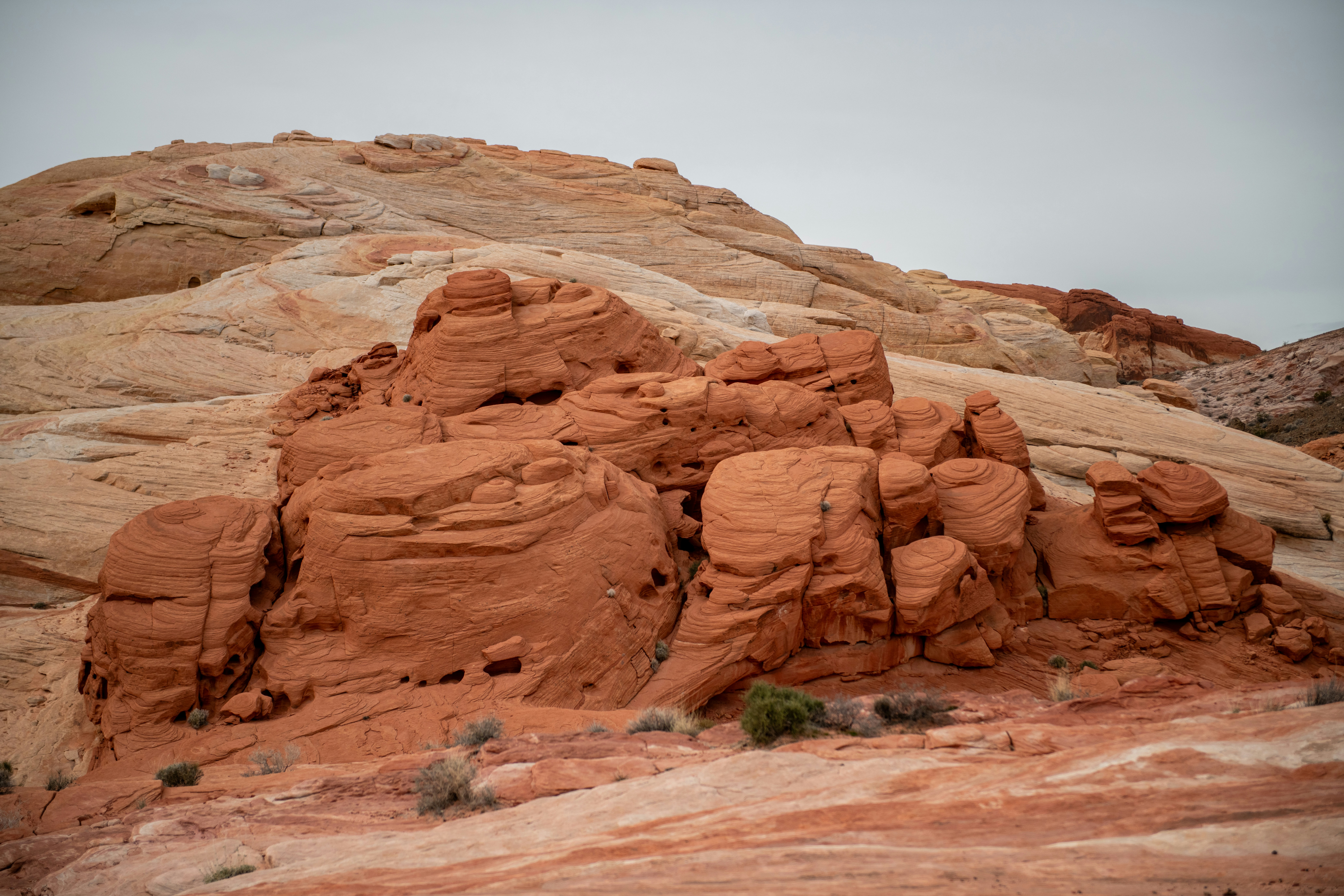 Desert Redstone: Weathered Monoliths Amid Sparse Scrub