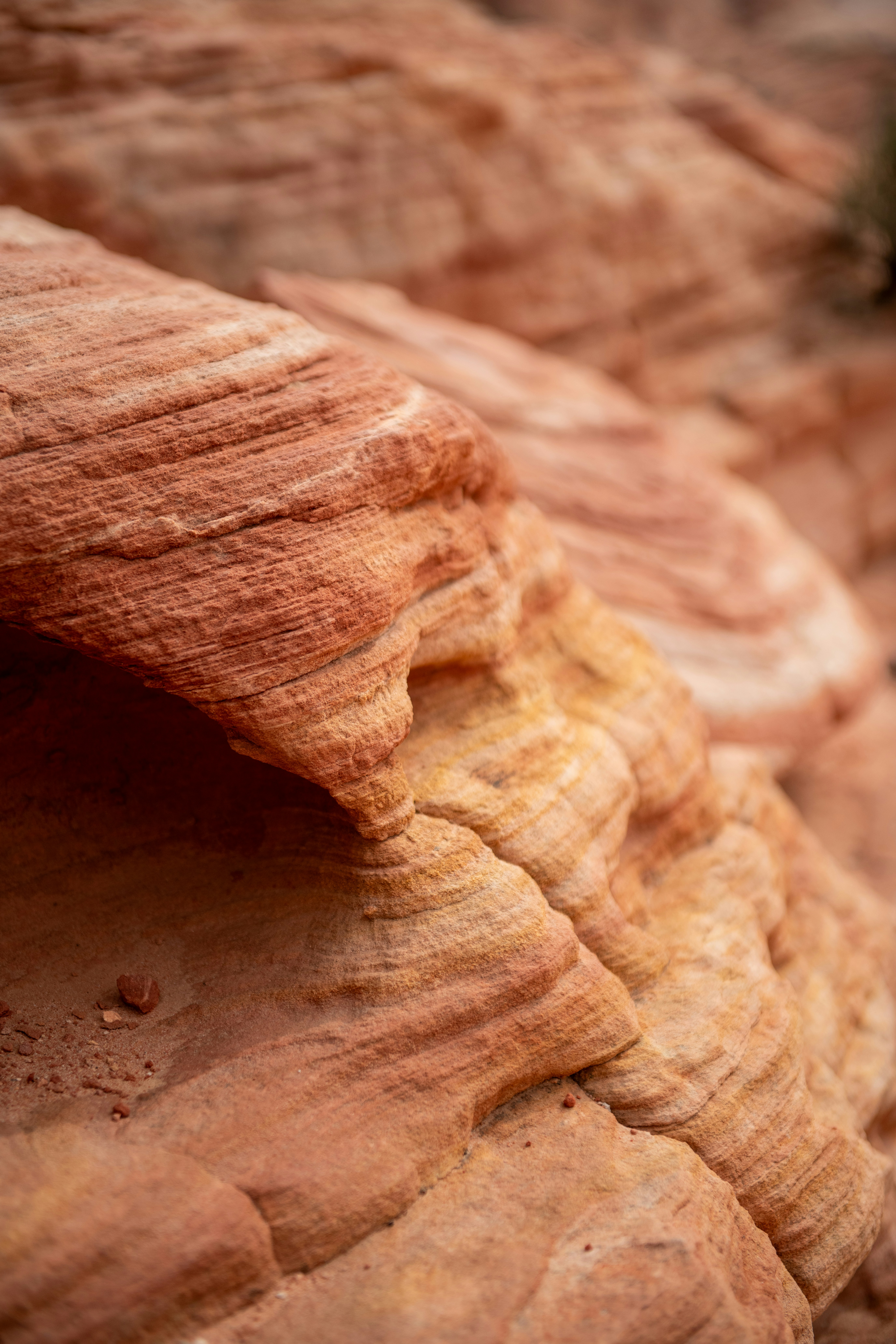 Layered sandstone contours: a close encounter with wind-worn geology