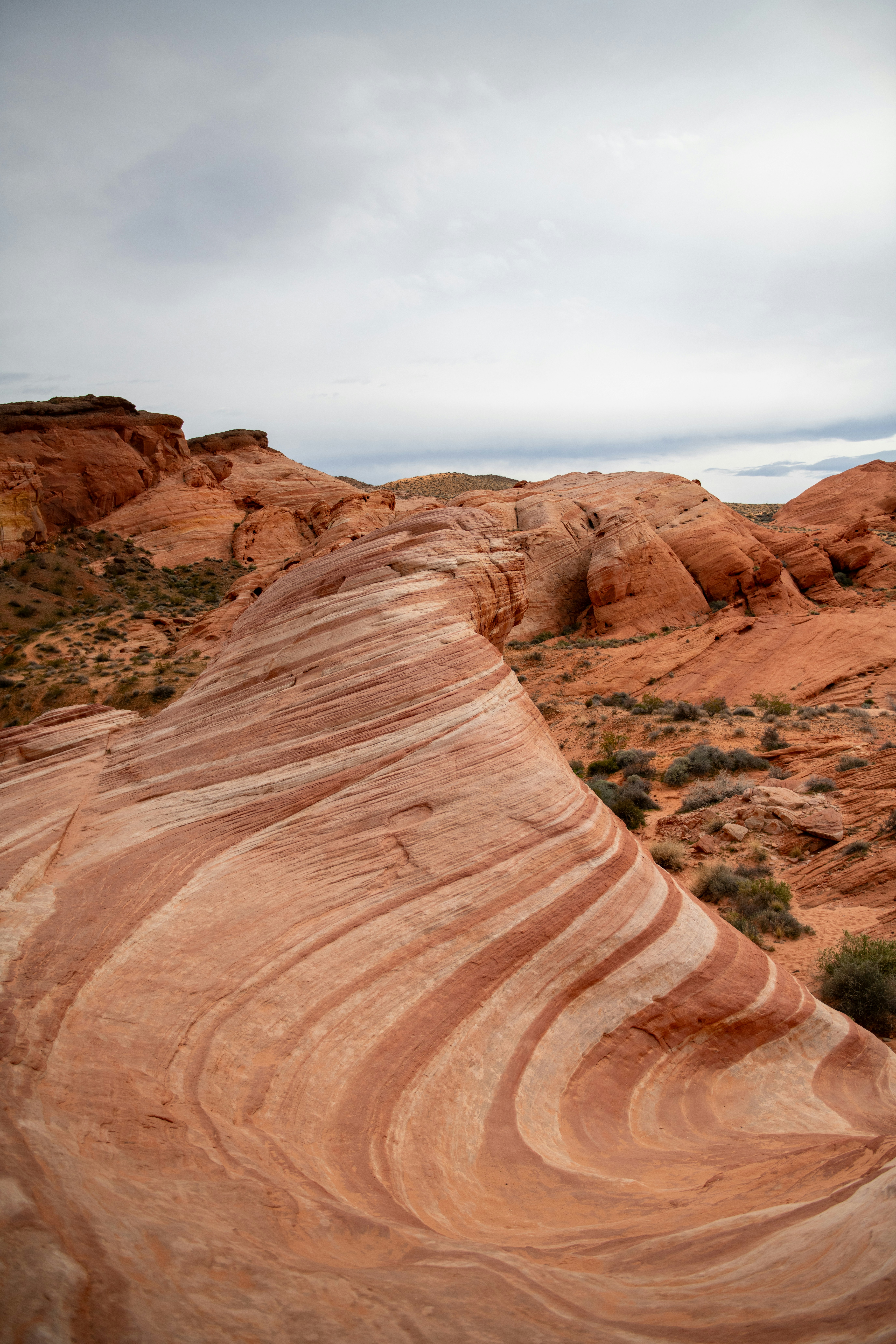 Curved Red Rock Choir: Striated Formations Sculpting the Desert Horizon