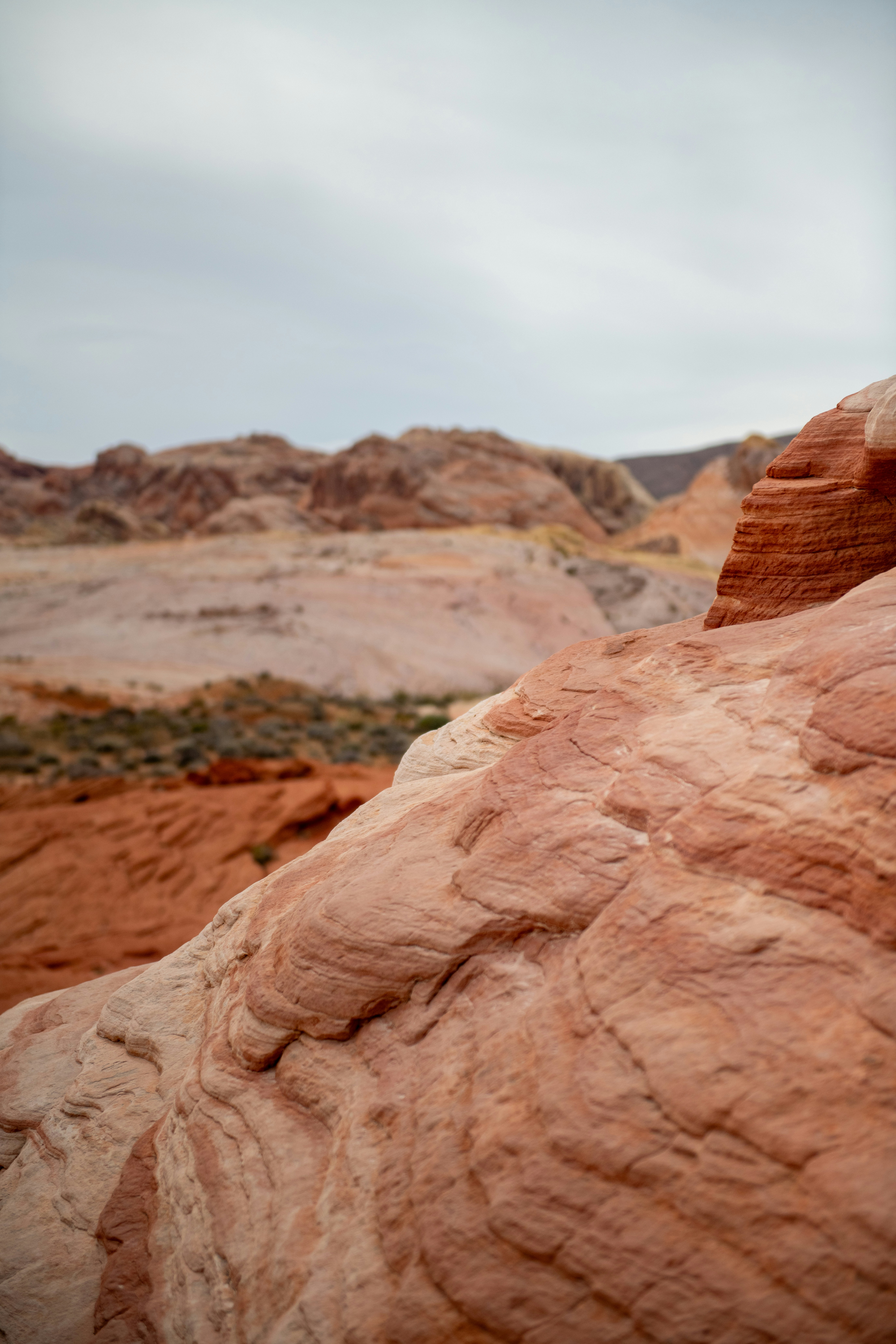 Rose-Soft Cliffs: Carved Formations Amid Desert Dunes