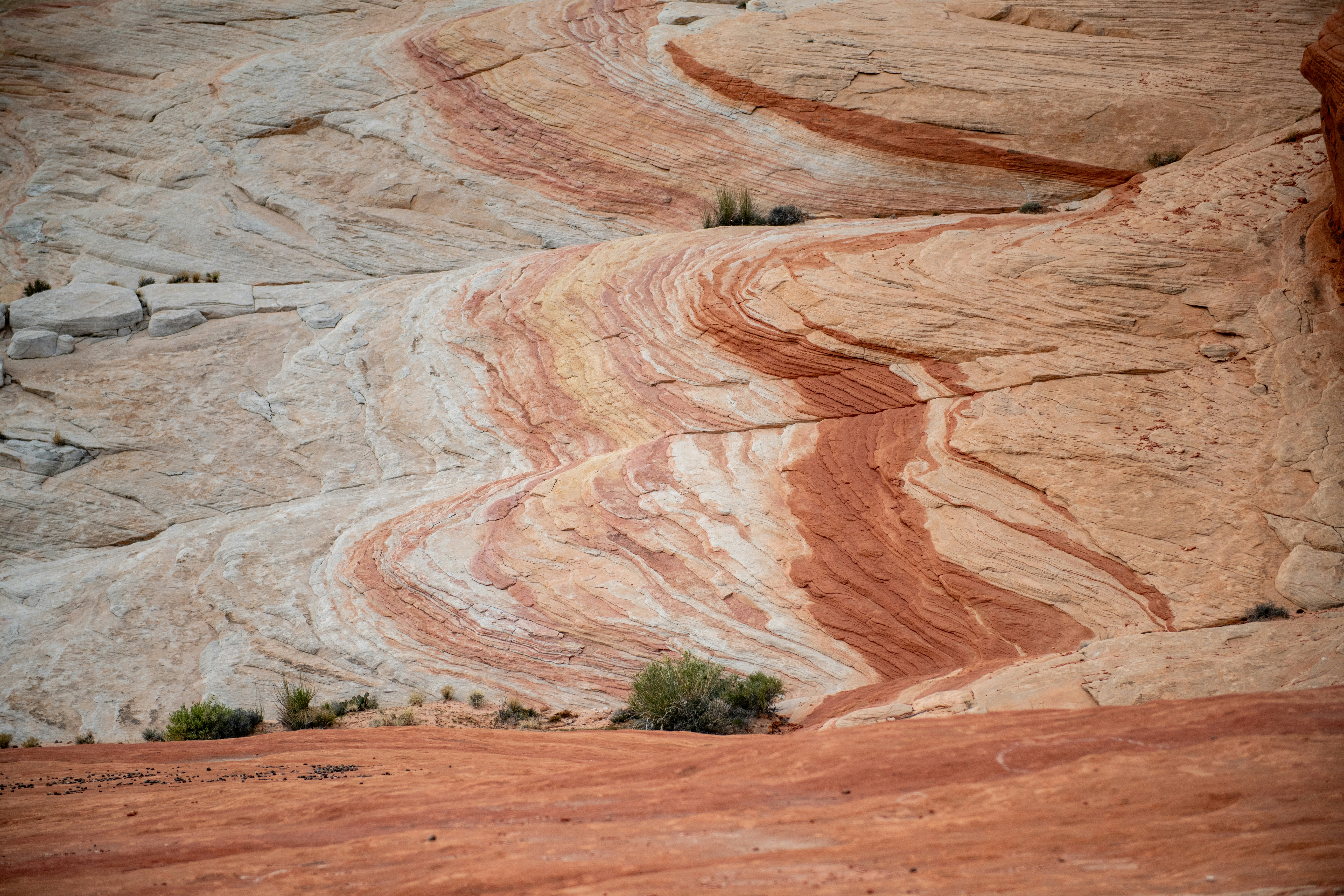 Striated Desert Waves: The Red Rock Contours