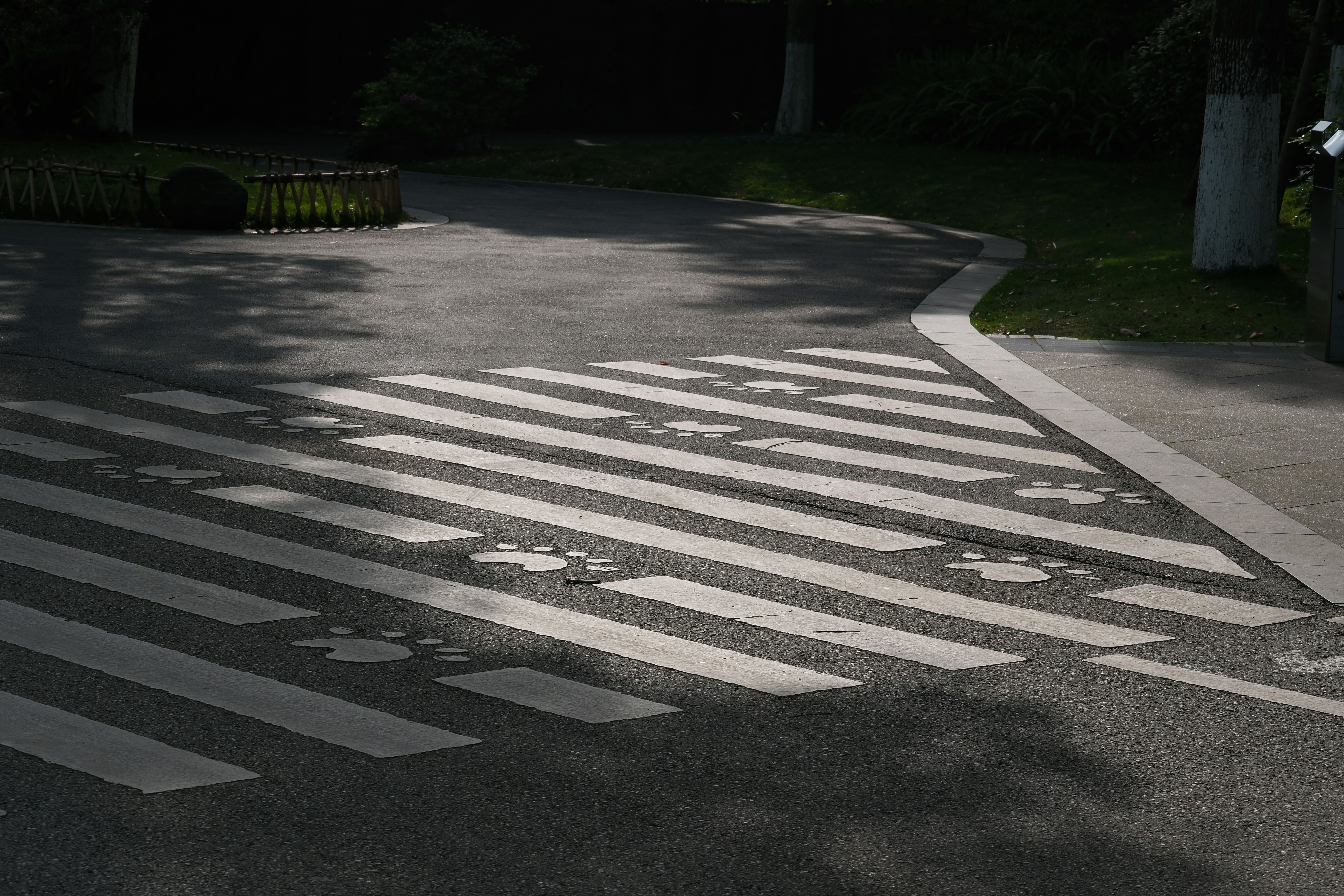Shadows Over Zebra Stripes: A Quiet Urban Crosswalk in Dappled Light