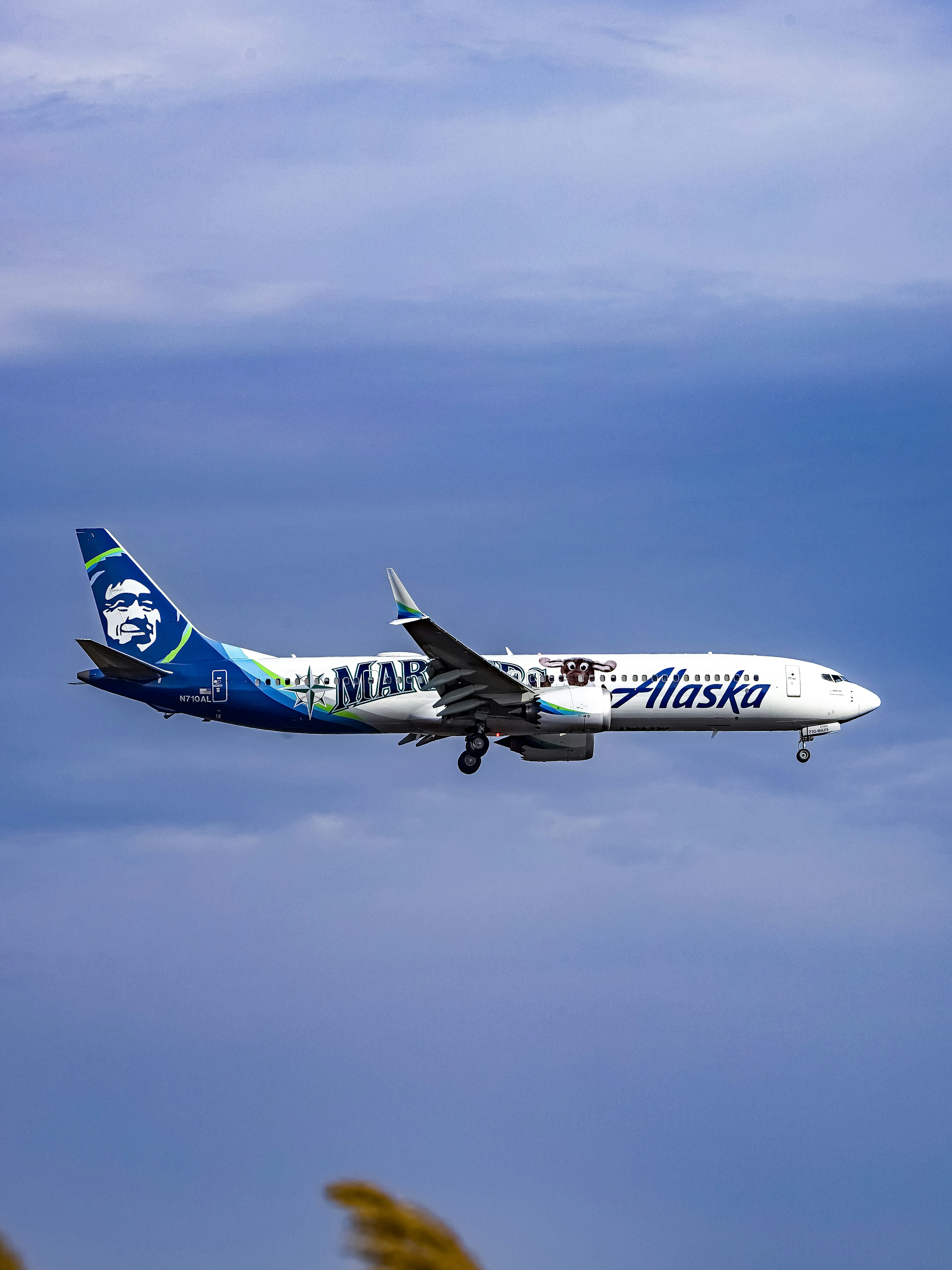 Alaskan Airlines in Profile: A Skyward Glimpse of Branding