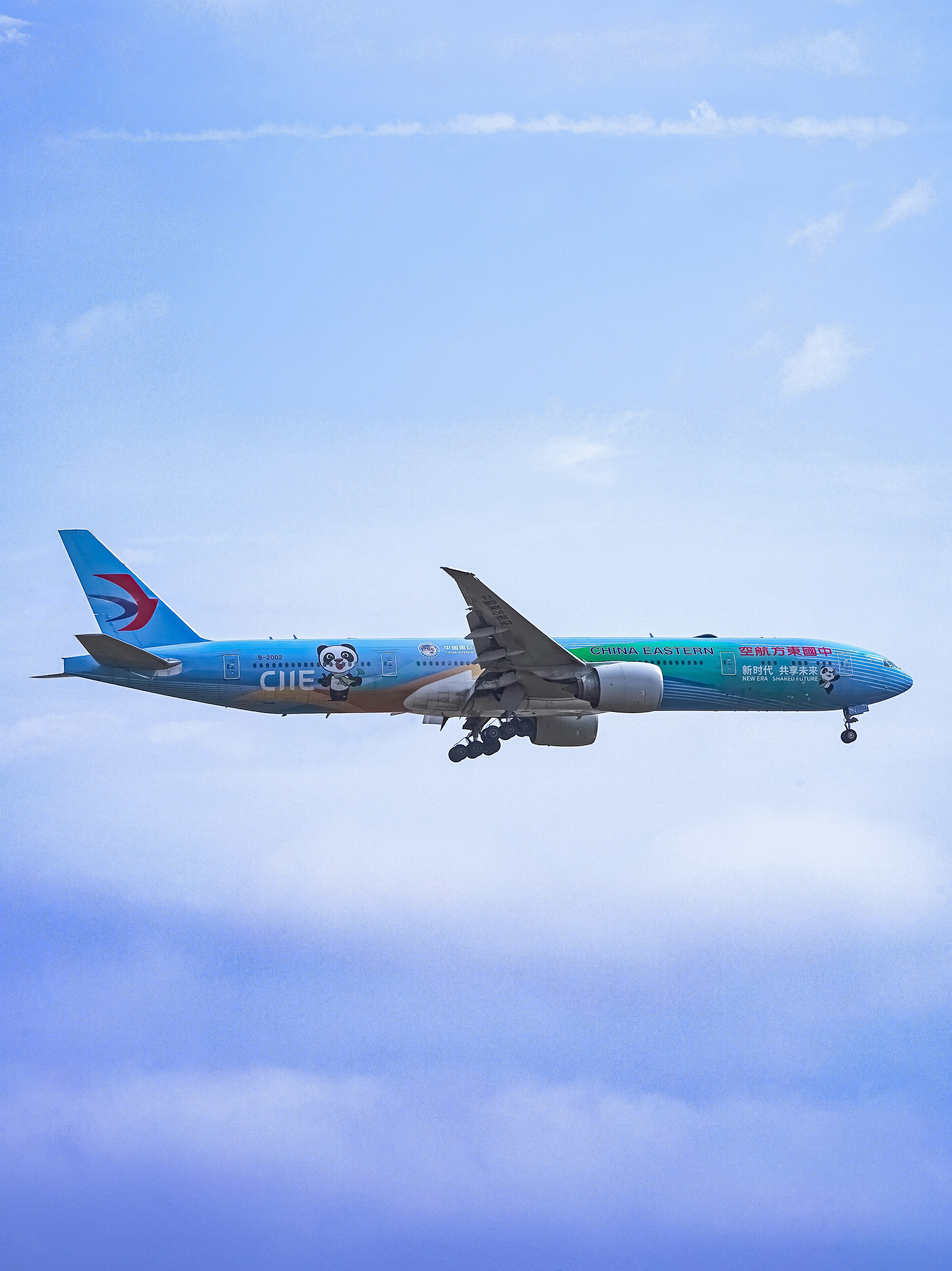 High-Altitude Livery: Panda Aboard