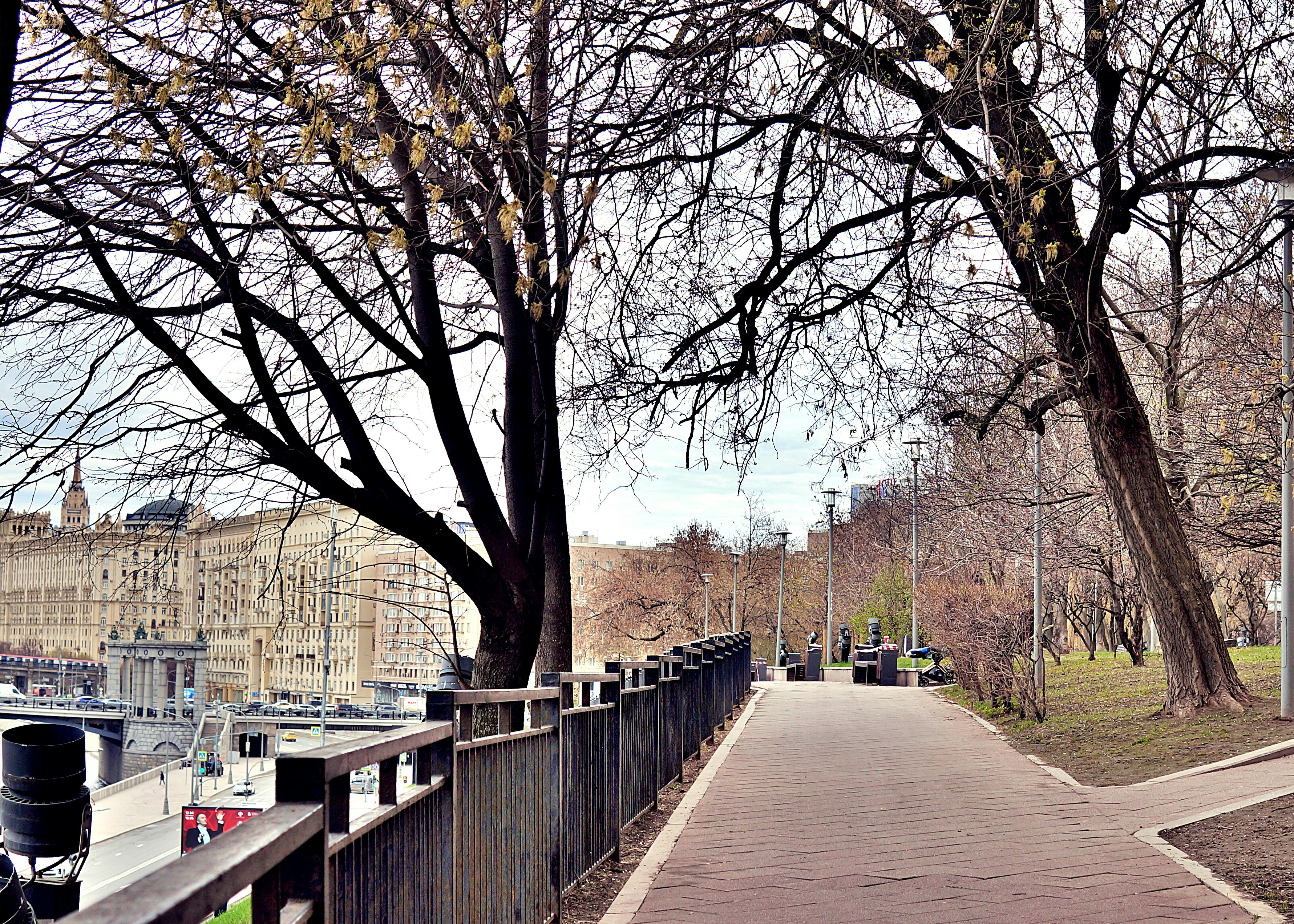 Riverside Walkway Framed by Tree Canopies
