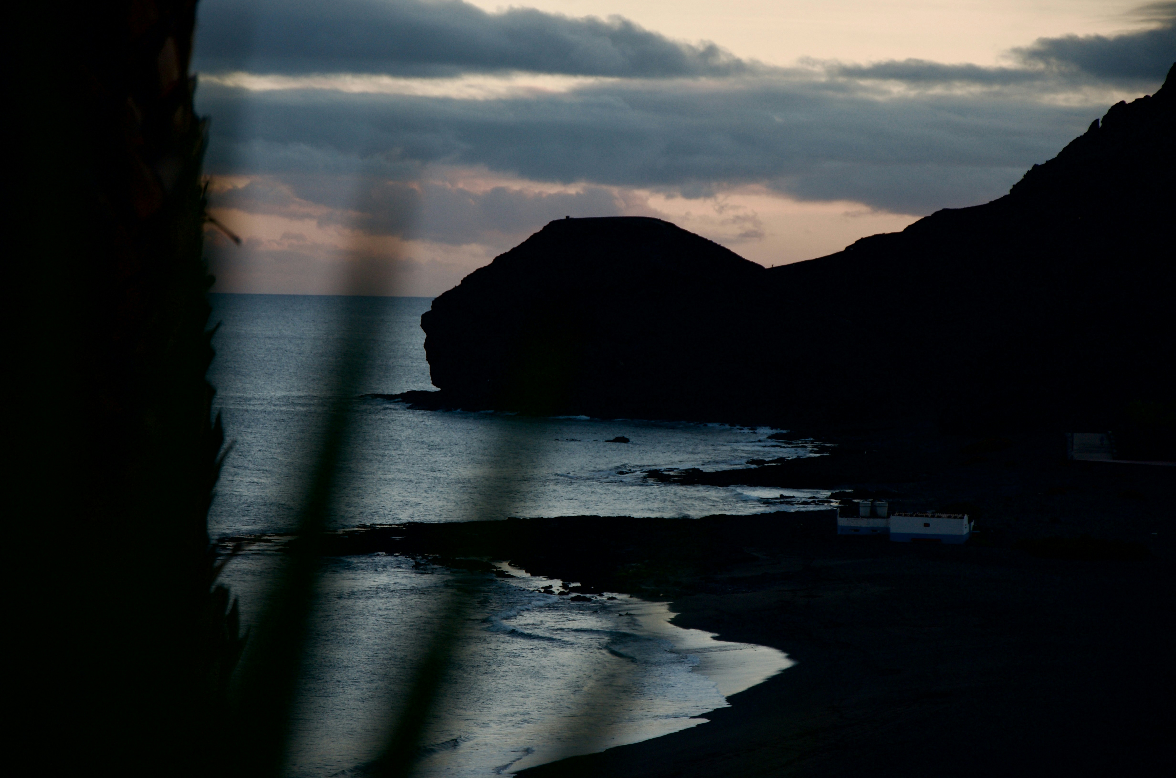 Evening silhouettes along a quiet cove