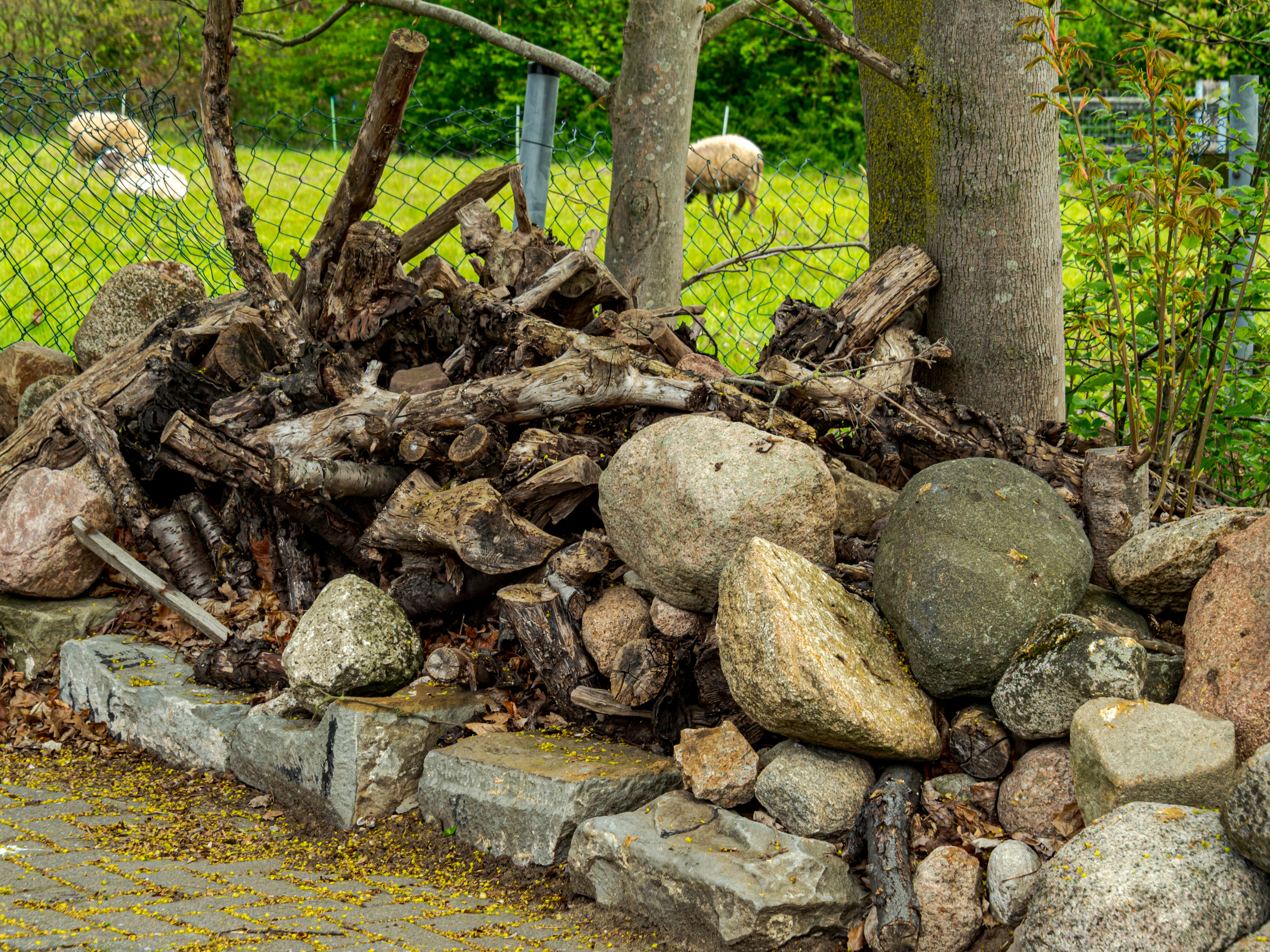 Rugged stone wall and wooden debris at yard edge