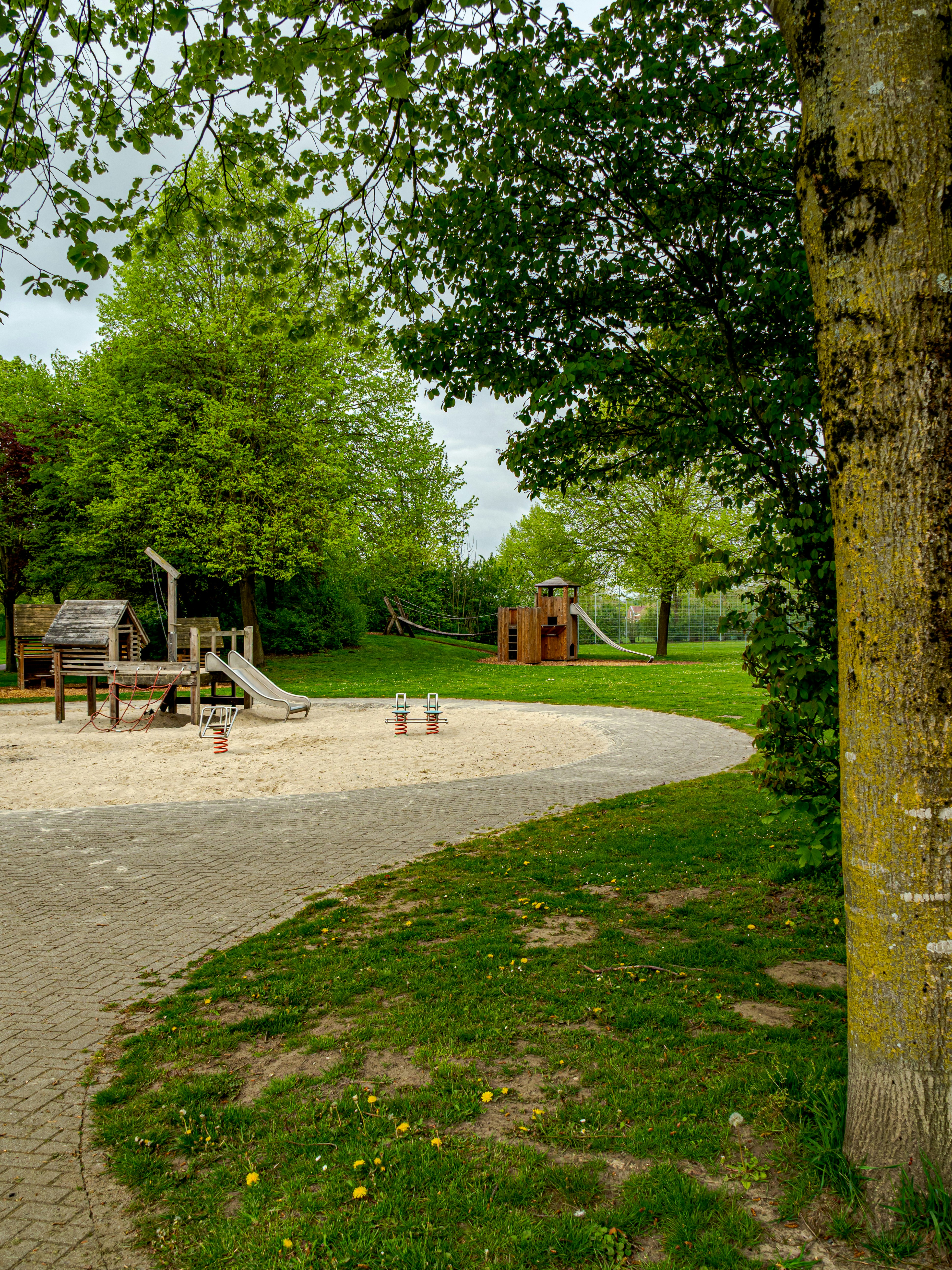 Sunlit Playground Framed by a Lively Park Past a Majestic Tree