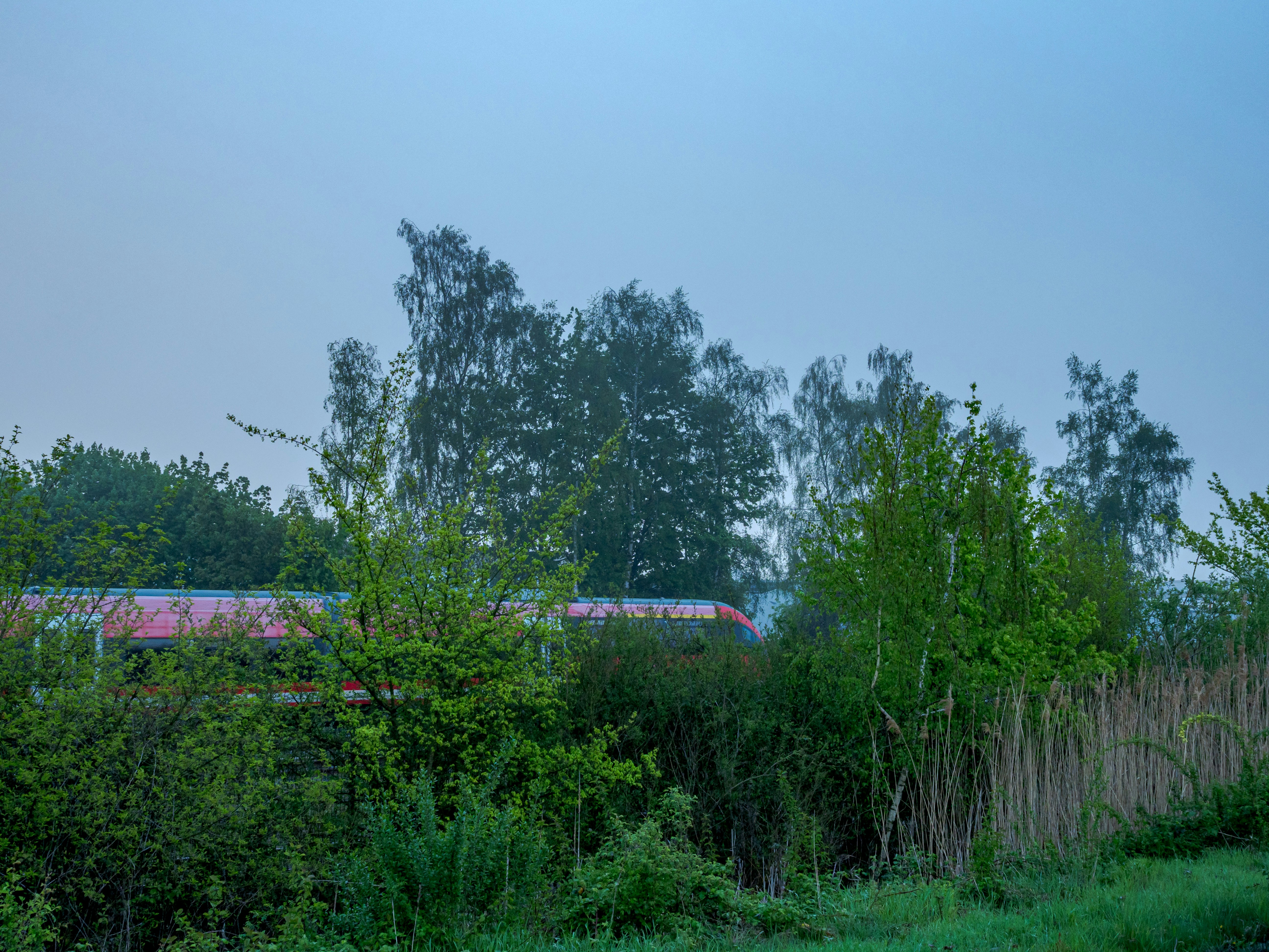 Hidden Train Line Beyond the Green Corridor