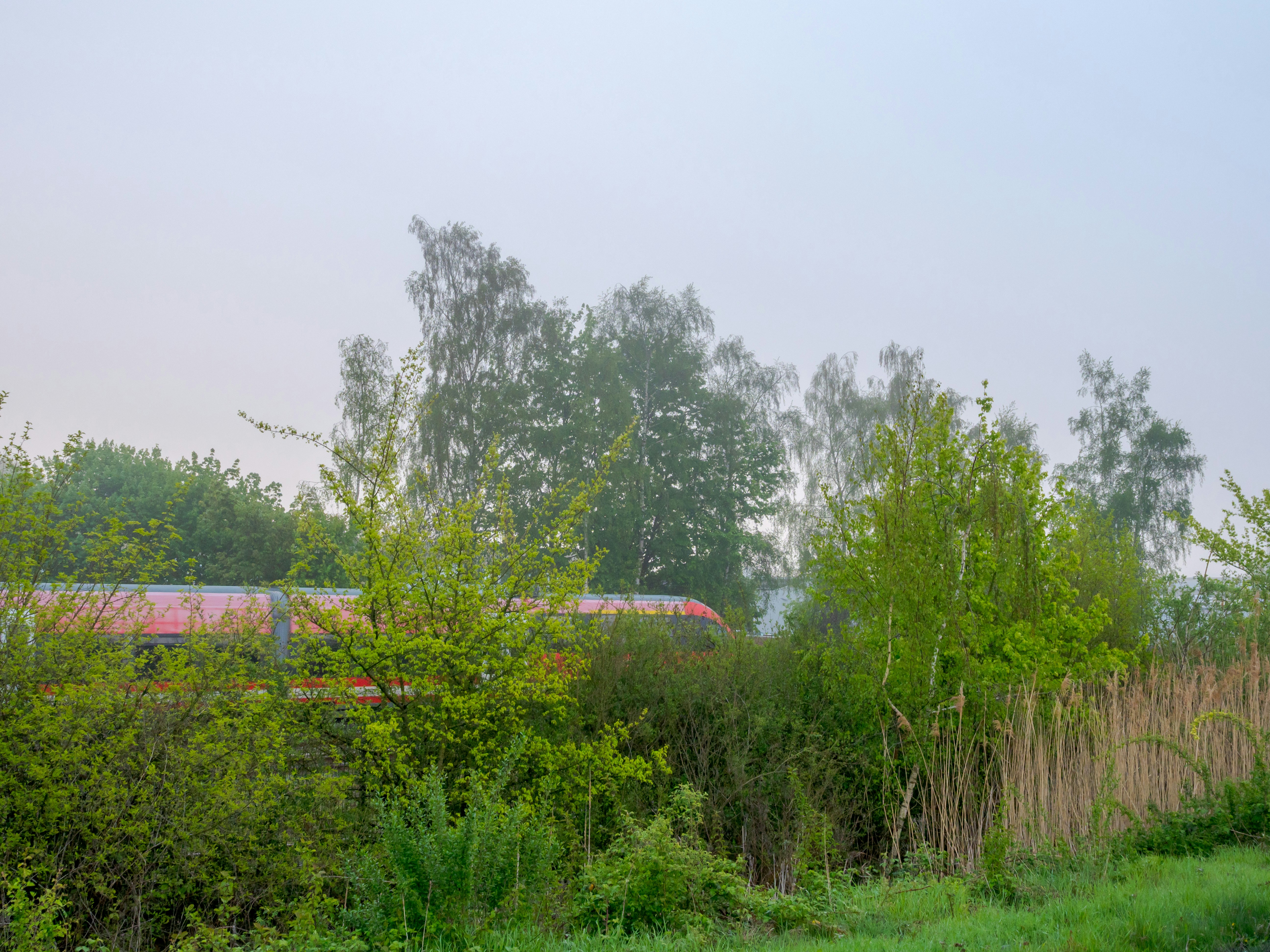 Low-contrast Riverbank Train Scene in Soft Evening Light