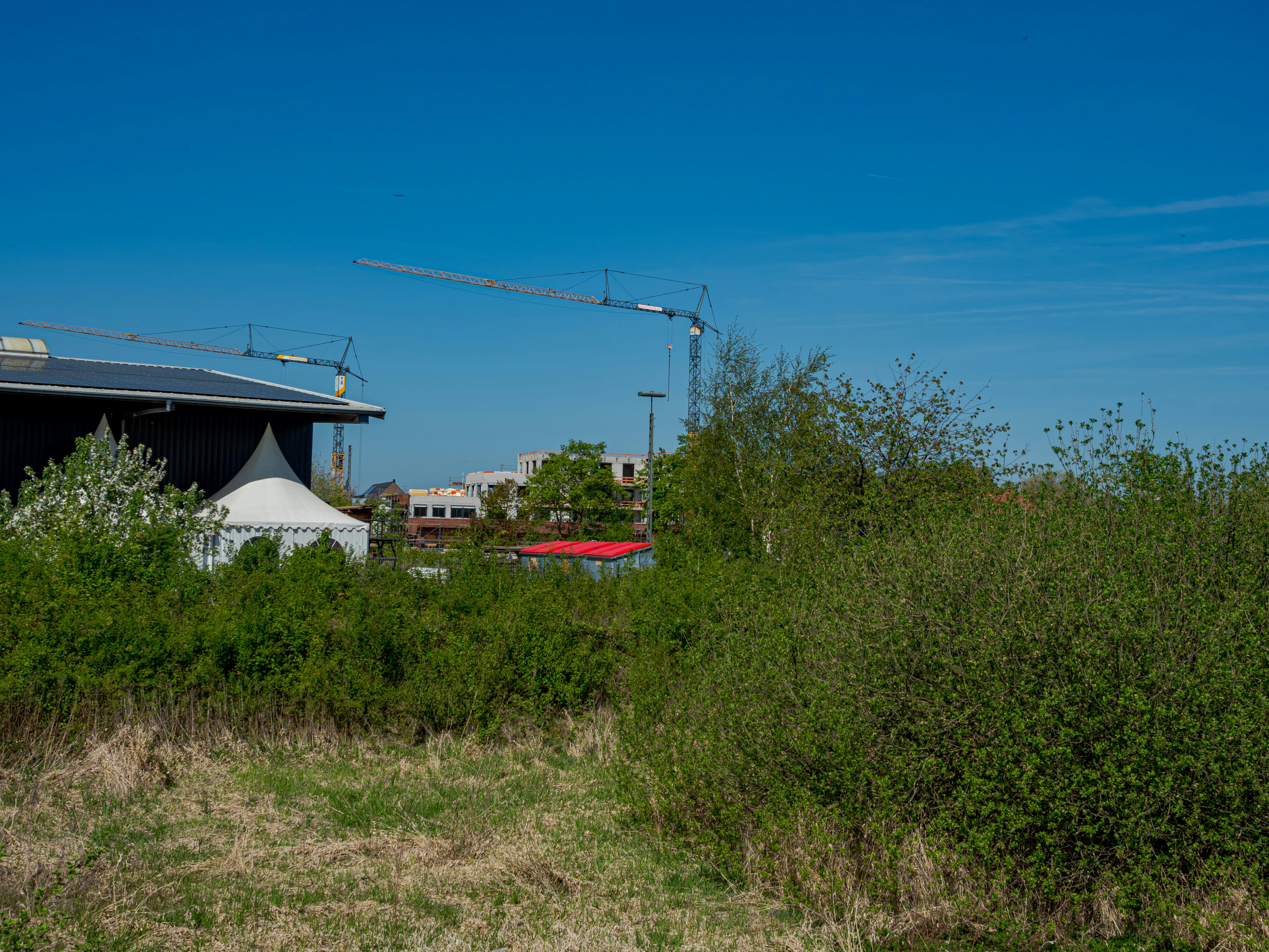 Cranes on the Horizon: Quiet Construction Edge