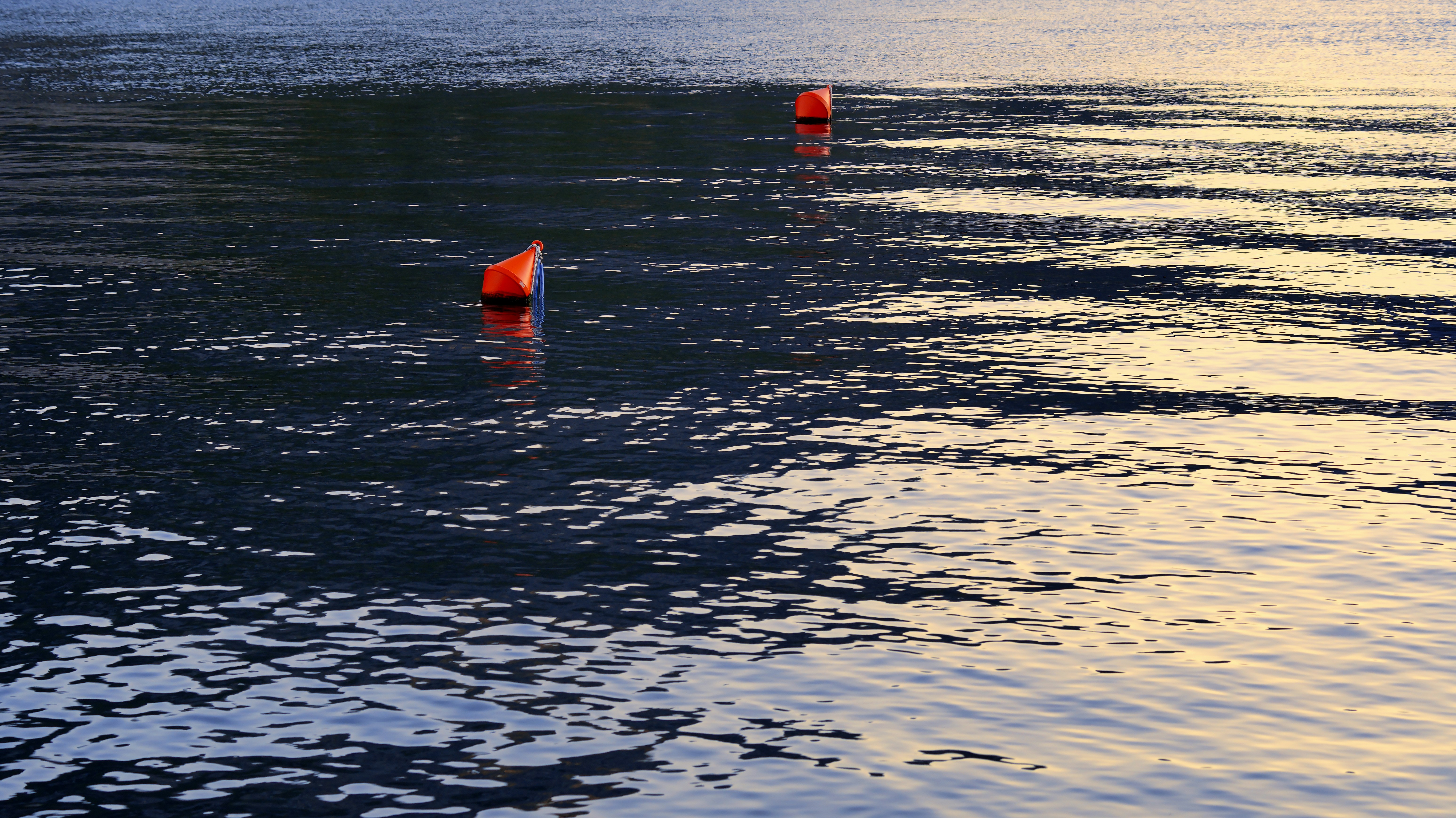Glowing Buoys at Dusk: Quiet Ripples and Soft Light