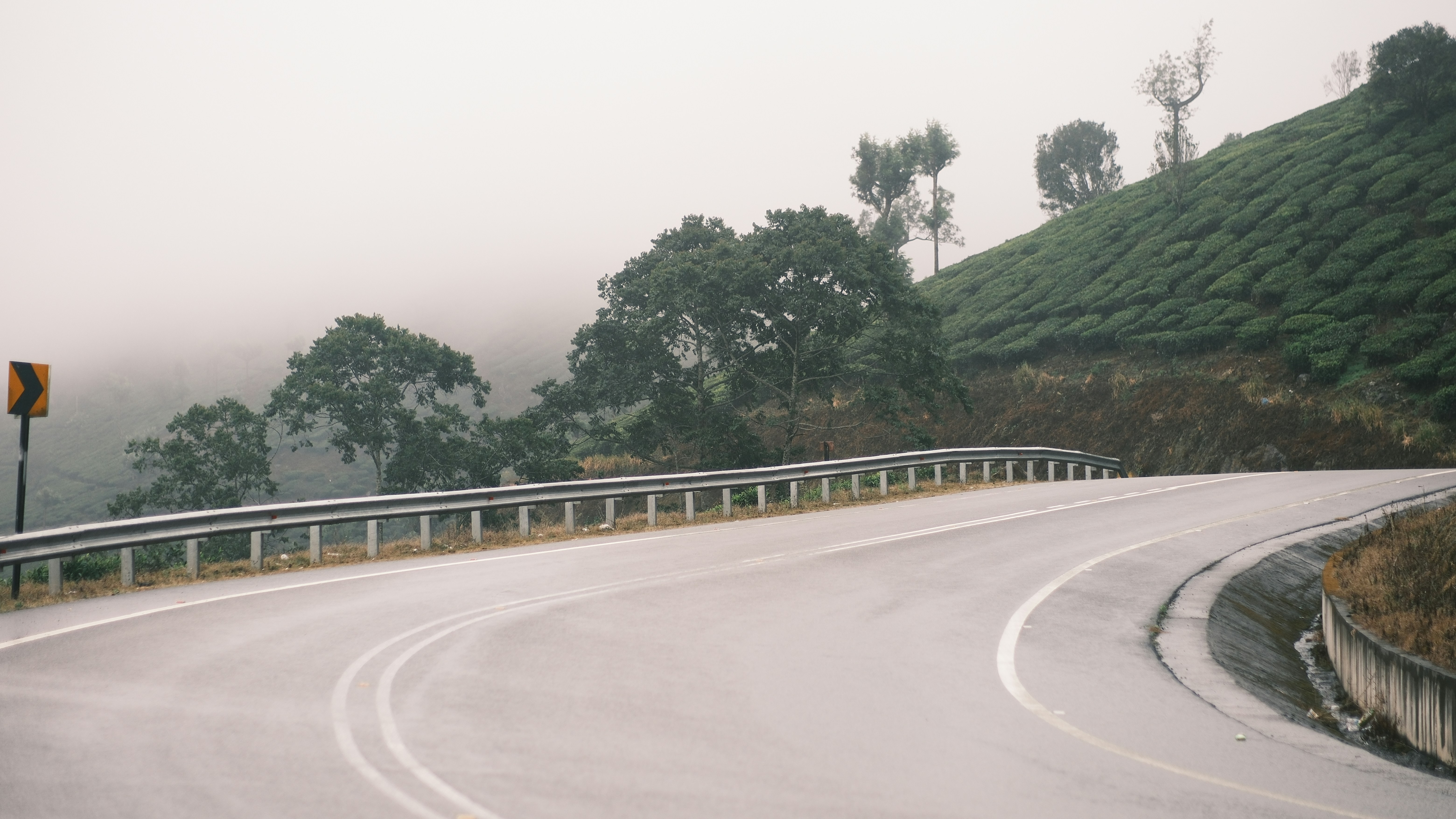 Mist on the Curve: A Quiet Mountain Road Awaits the Turn