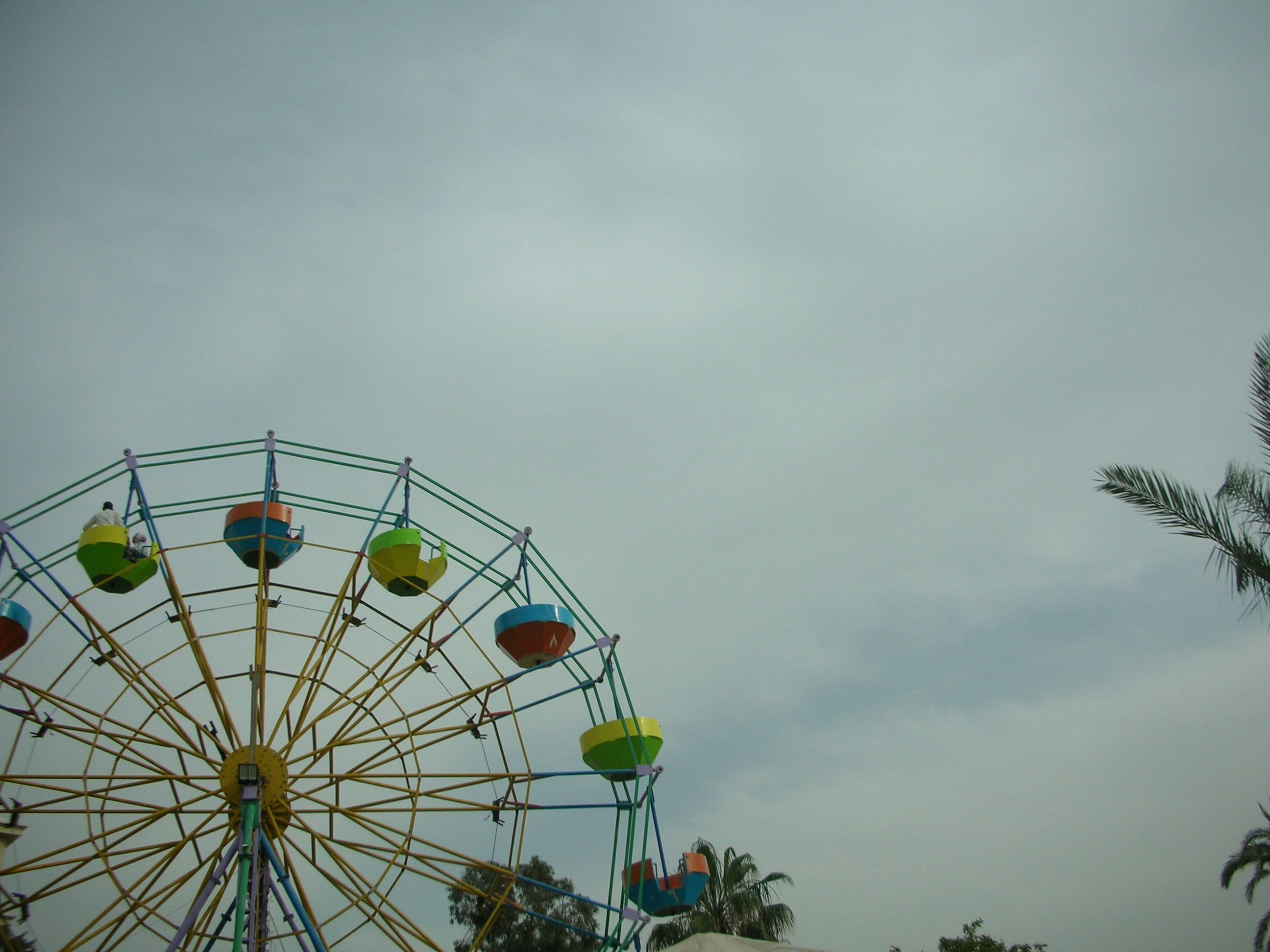 Colorful Ferris Wheel Above a Calm Boardwalk