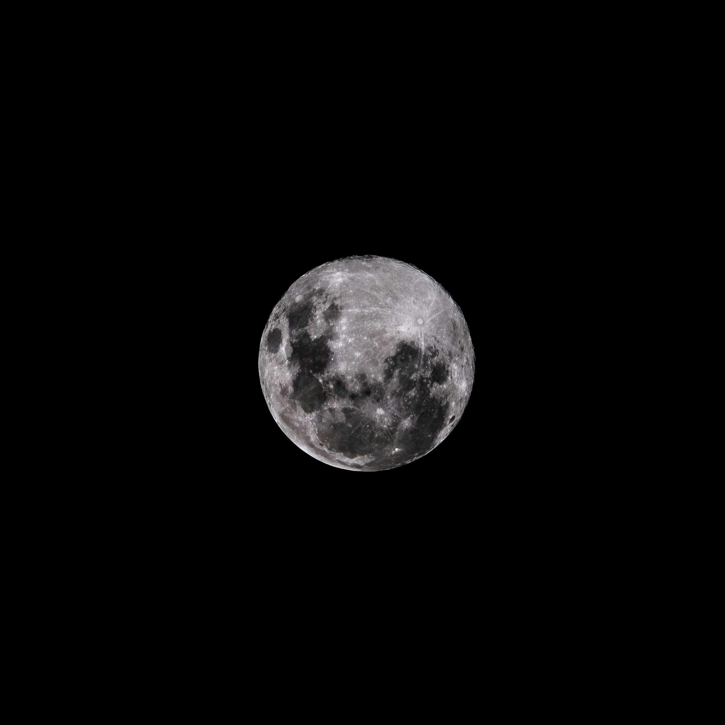 Lone Moon: a crisp, grayscale disc in a velvet black sky