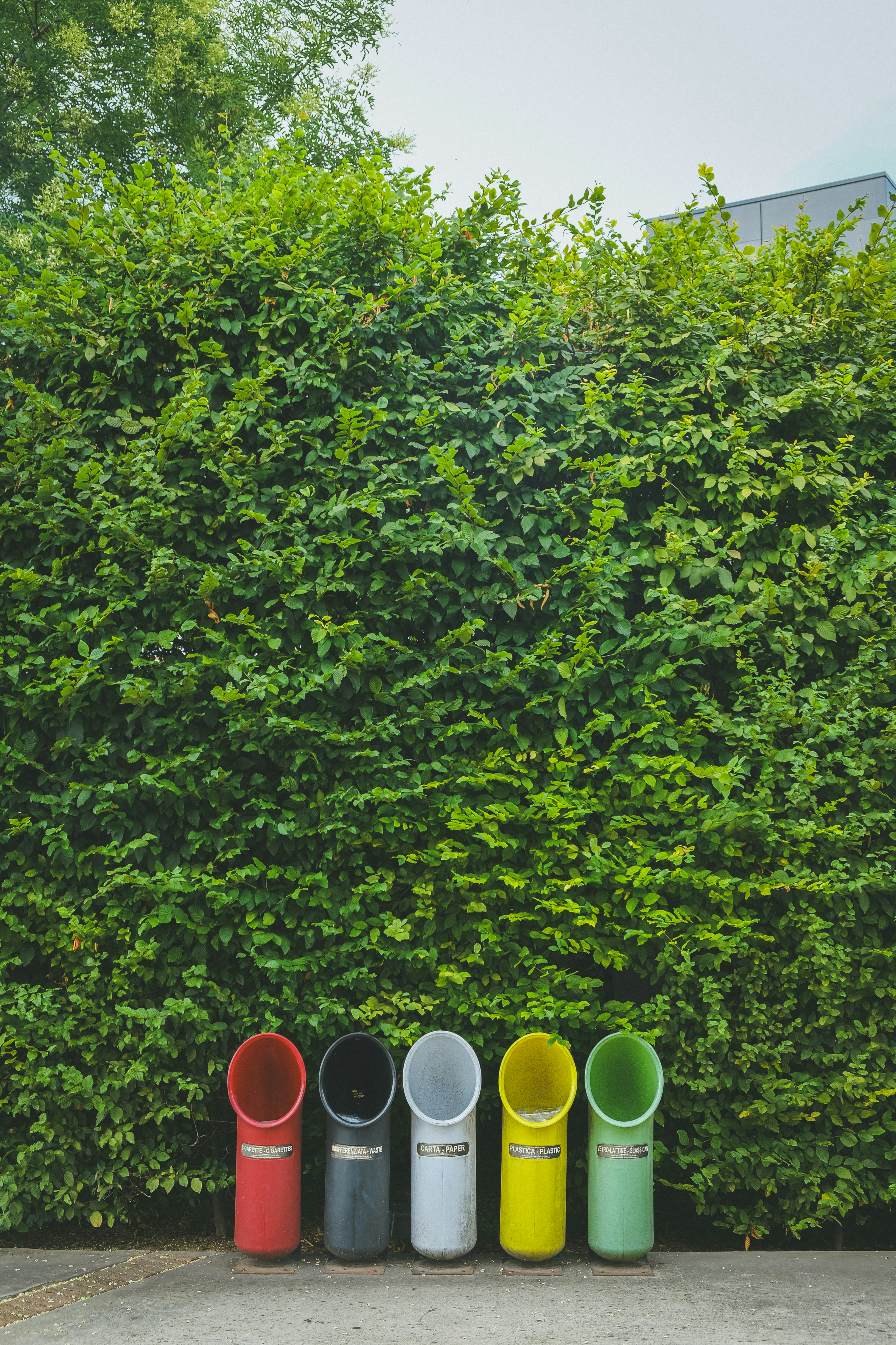 Colorful Waste Bins Stand Guard in Front of a Lush Hedge