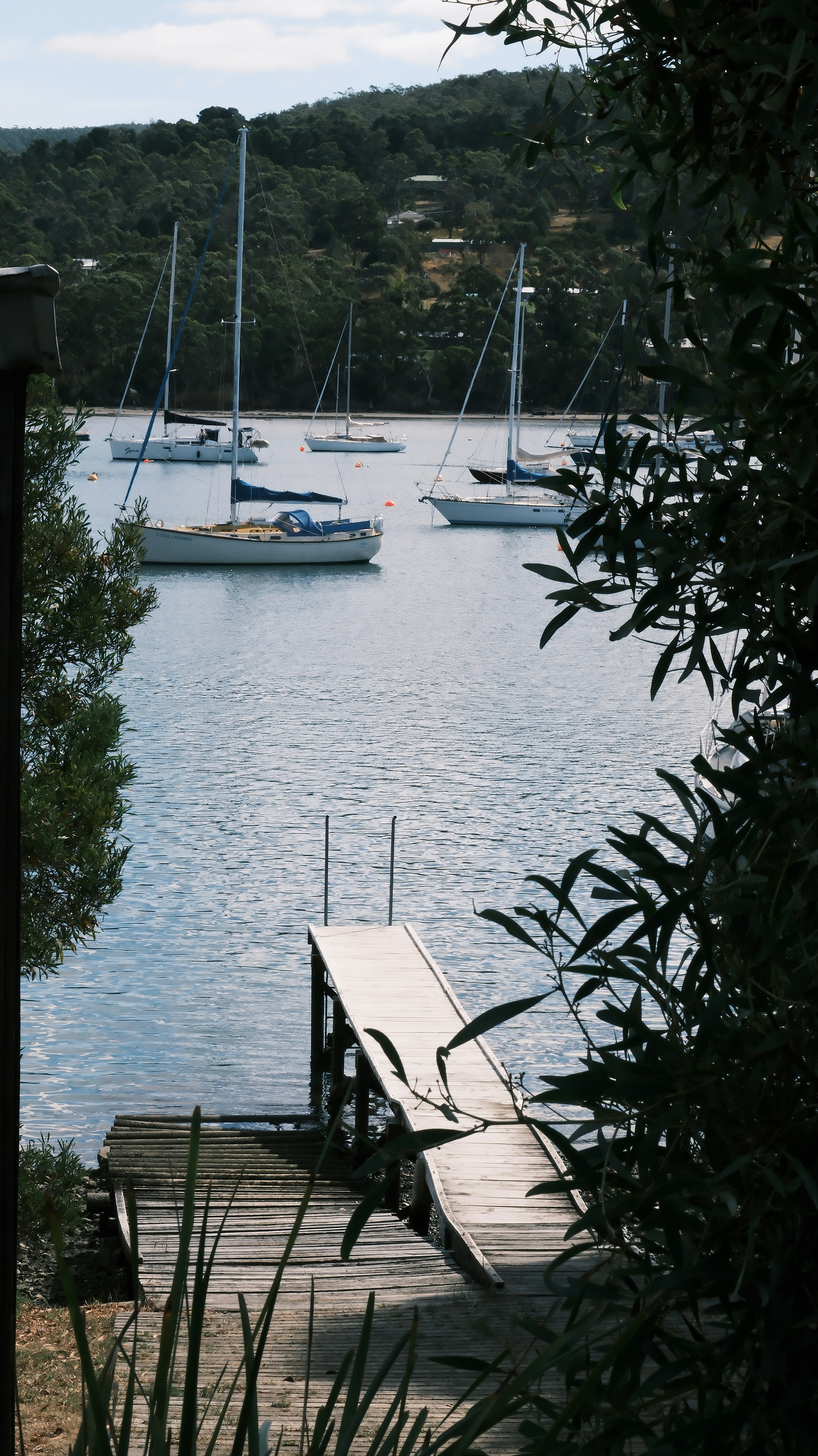 Quiet Marina: Boats Resting Behind a Framing Path